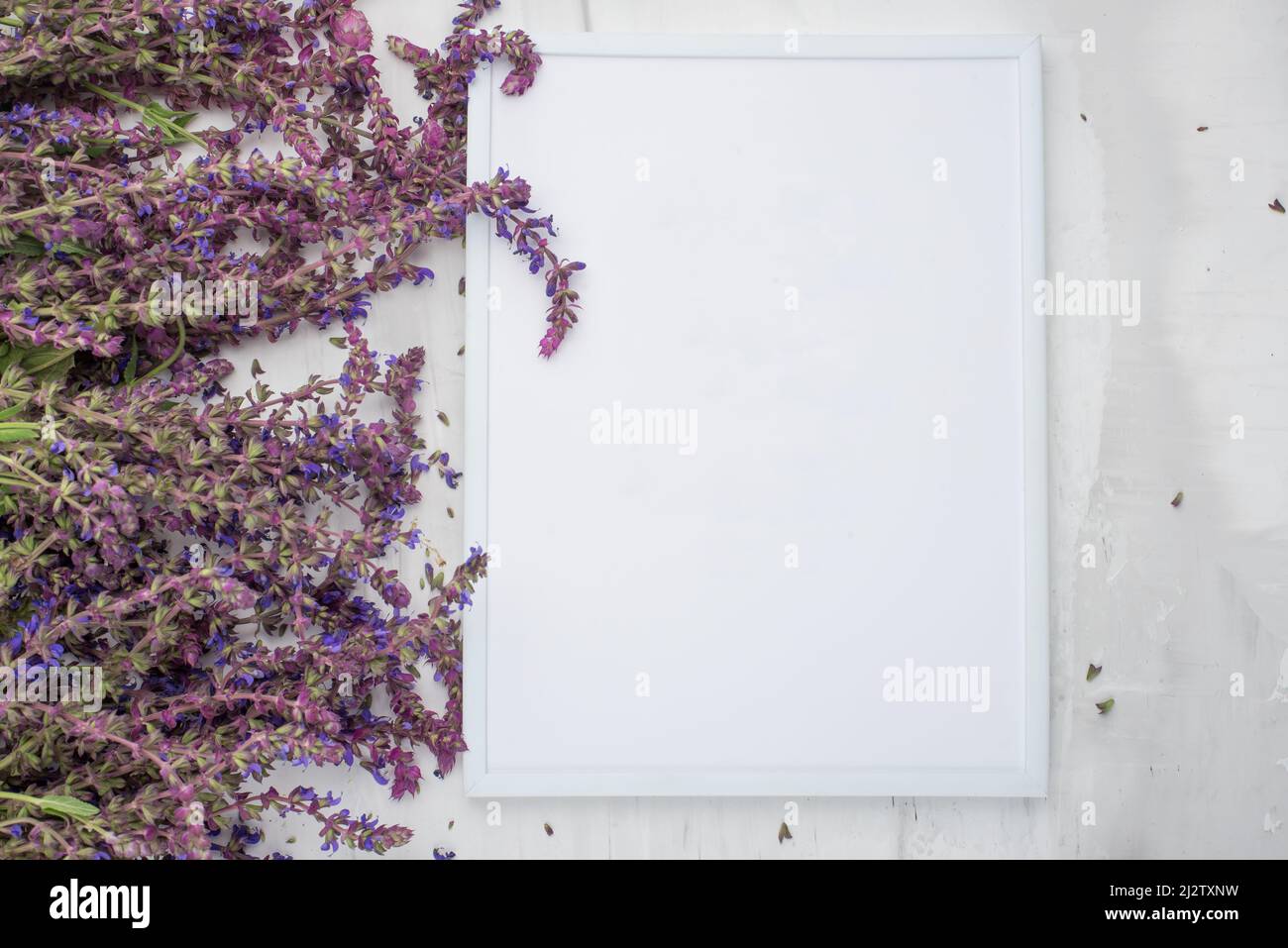 Empty frame space inscription hi-res stock photography and images - Alamy