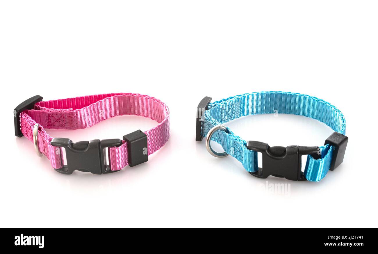 colorful collars in front of white background Stock Photo - Alamy