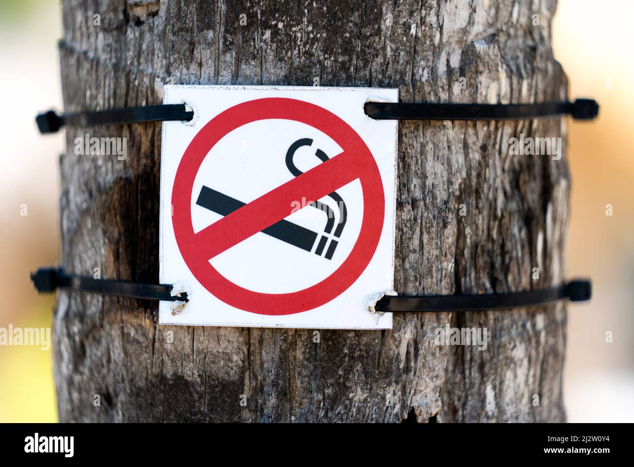 No smoking sign on a palm tree trunk, close-up. High quality photo ...