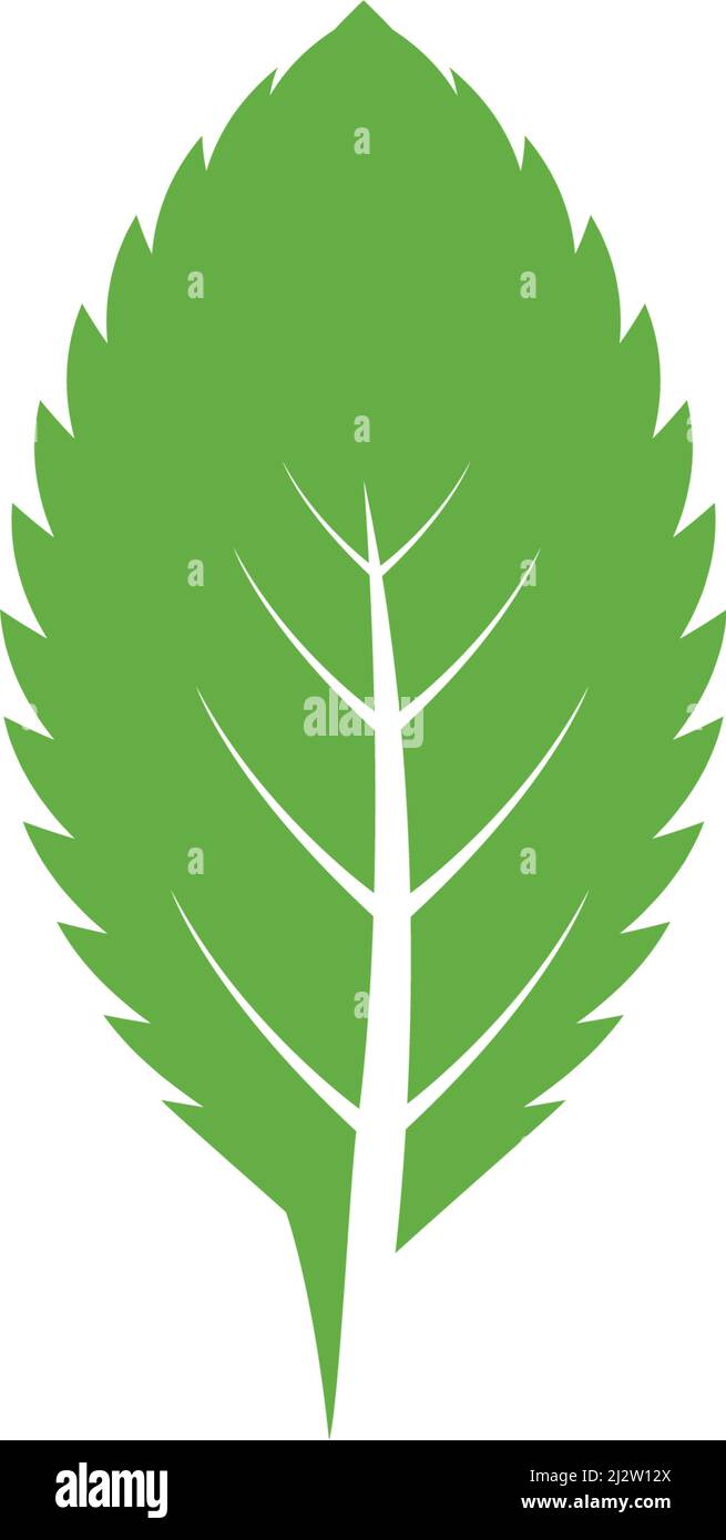 Mint leaf logo illustration vector Stock Vector Image & Art - Alamy