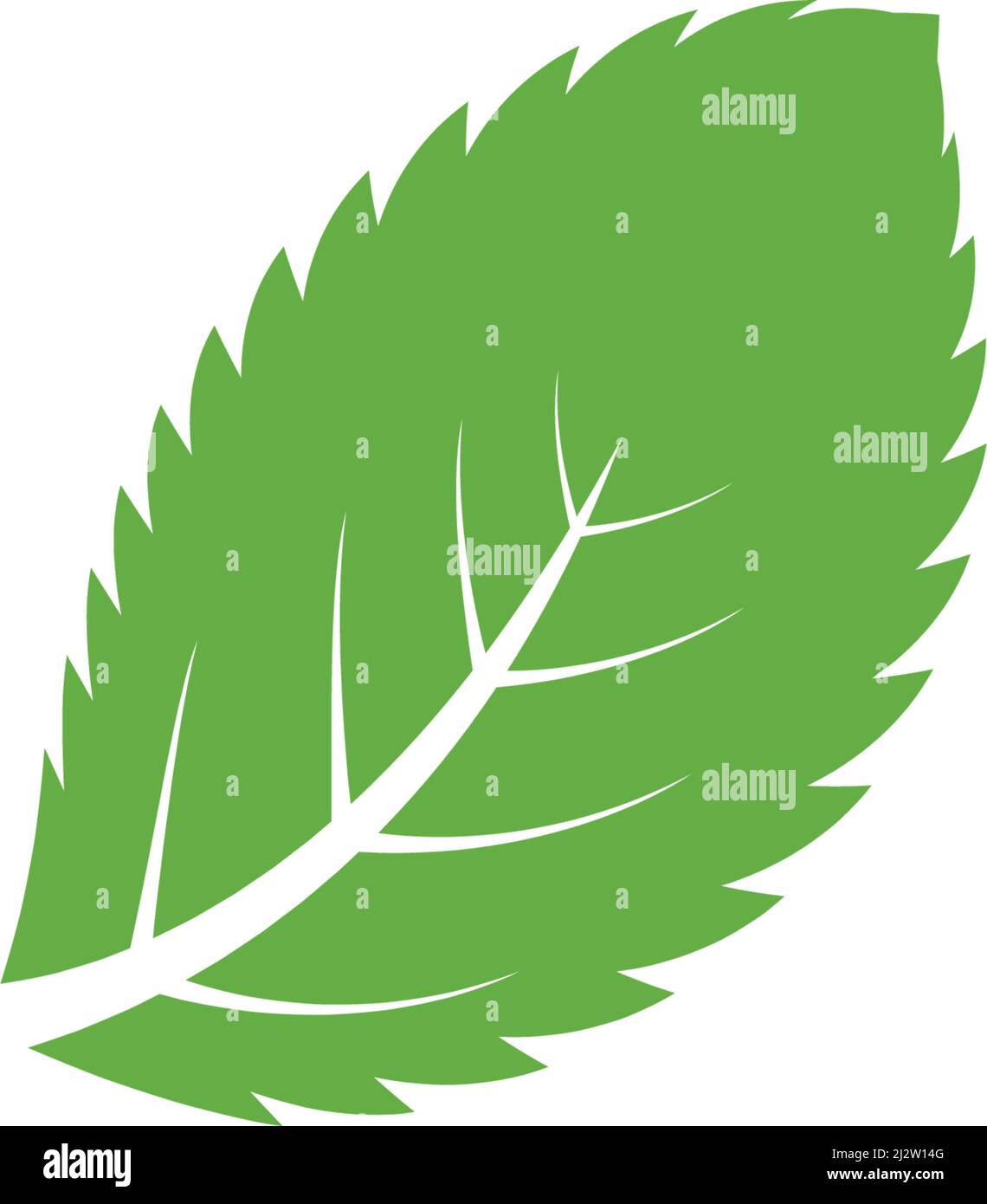 Mint leaf logo illustration vector Stock Vector Image & Art - Alamy