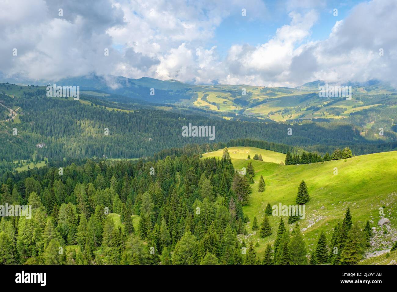 Rolling landscape with meadows and forests in the Alps Stock Photo - Alamy