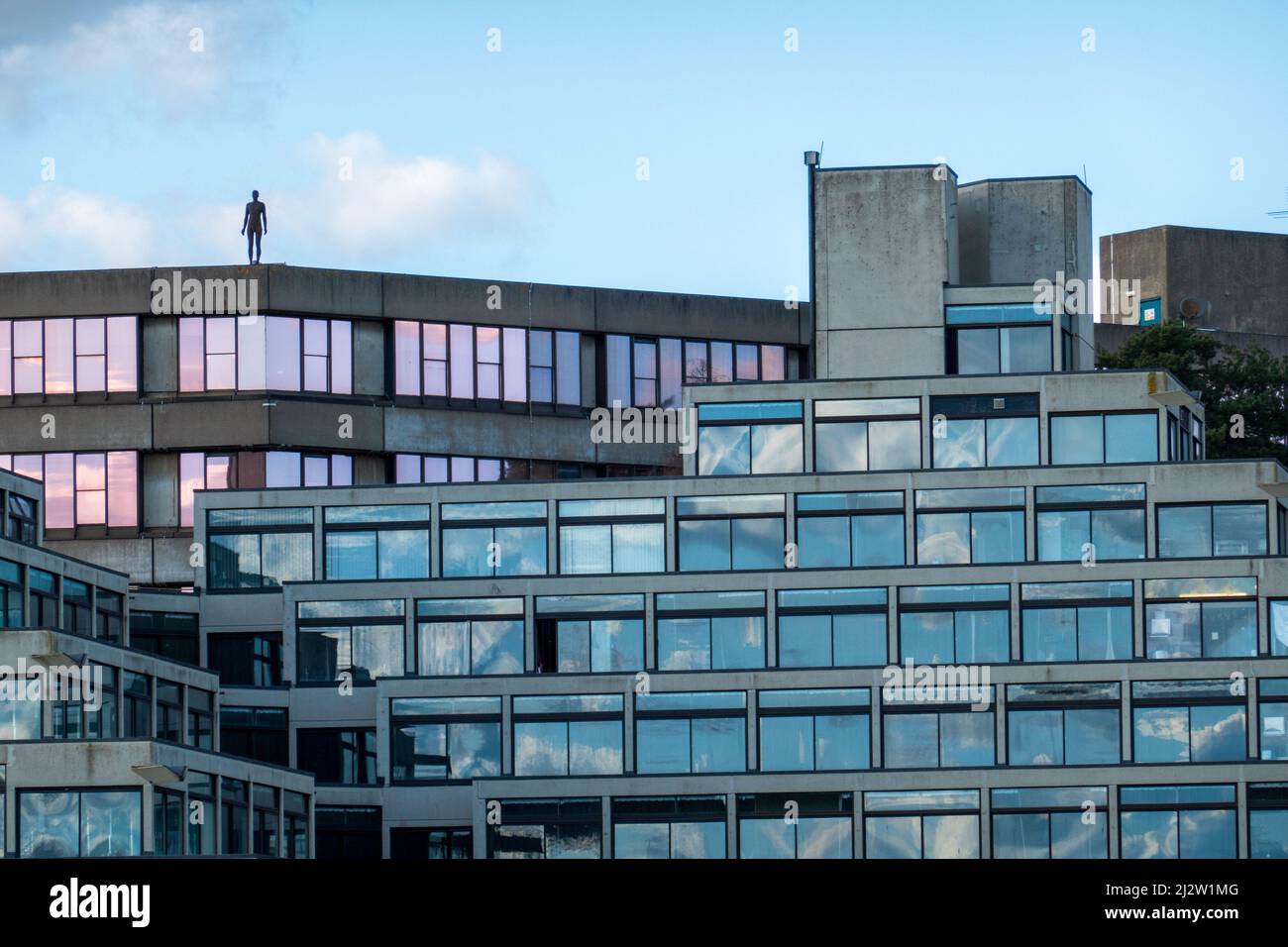 Roof of biology department hi-res stock photography and images - Alamy