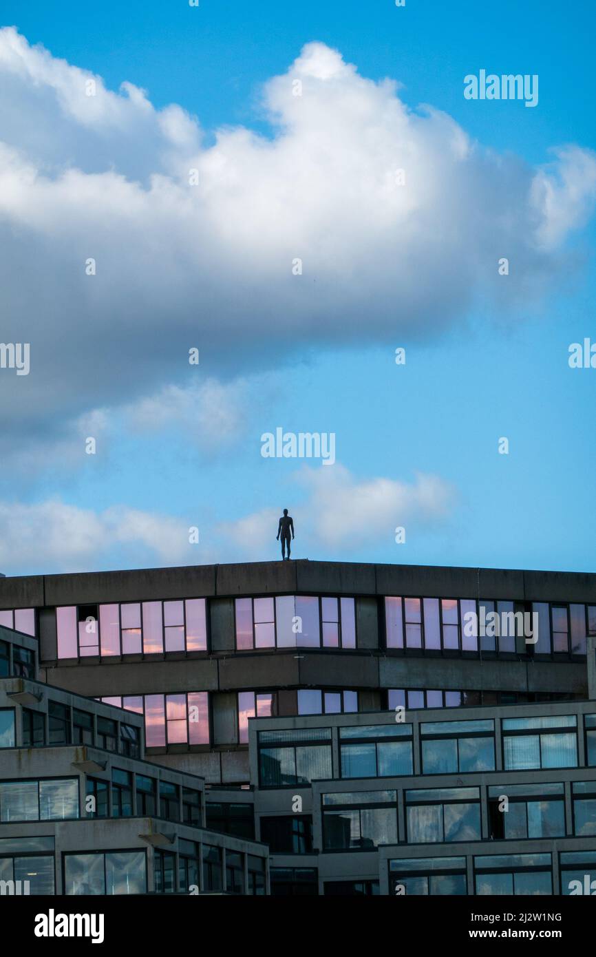 Roof of biology department hi-res stock photography and images - Alamy