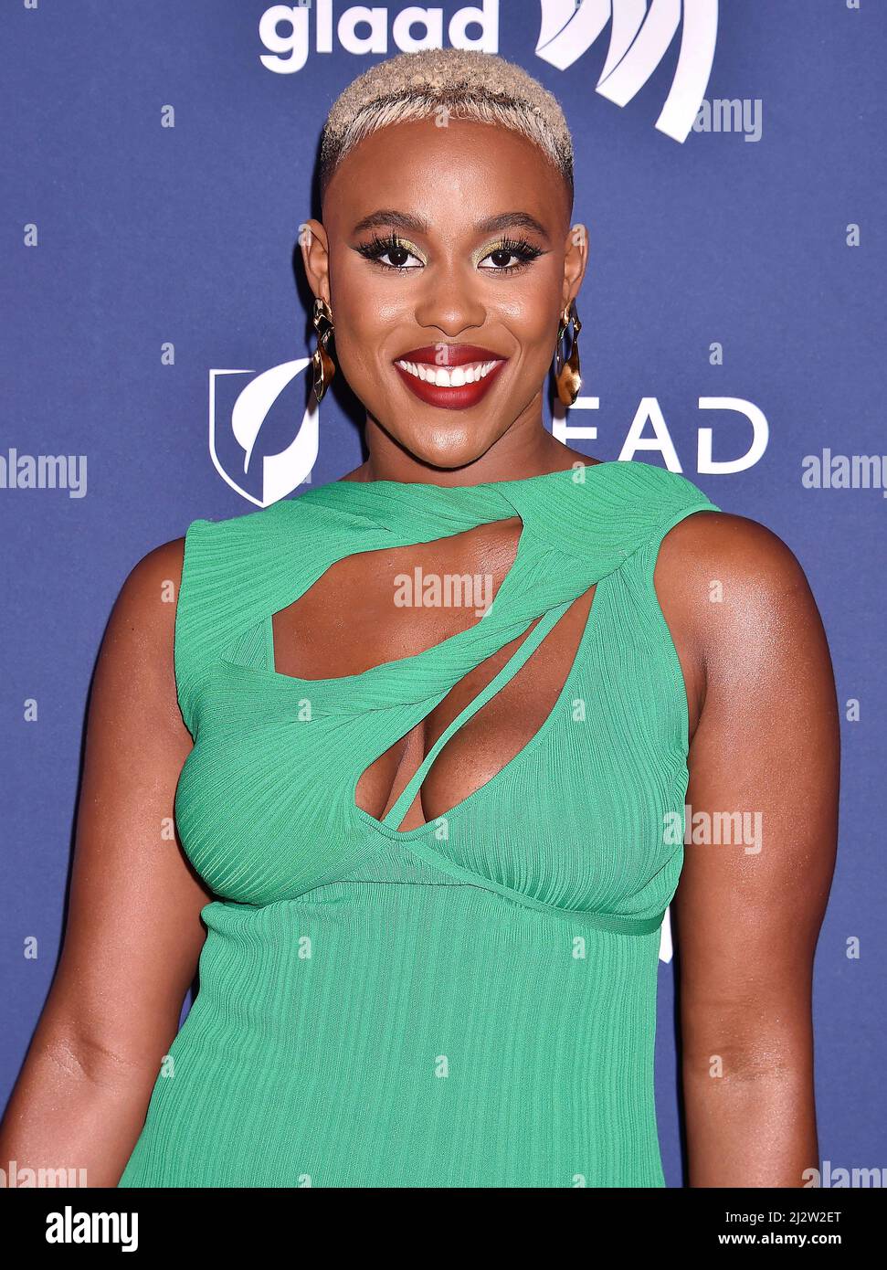 BEVERLY HILLS, CA - APRIL 02: Jerrie Johnson attends the 33rd Annual ...