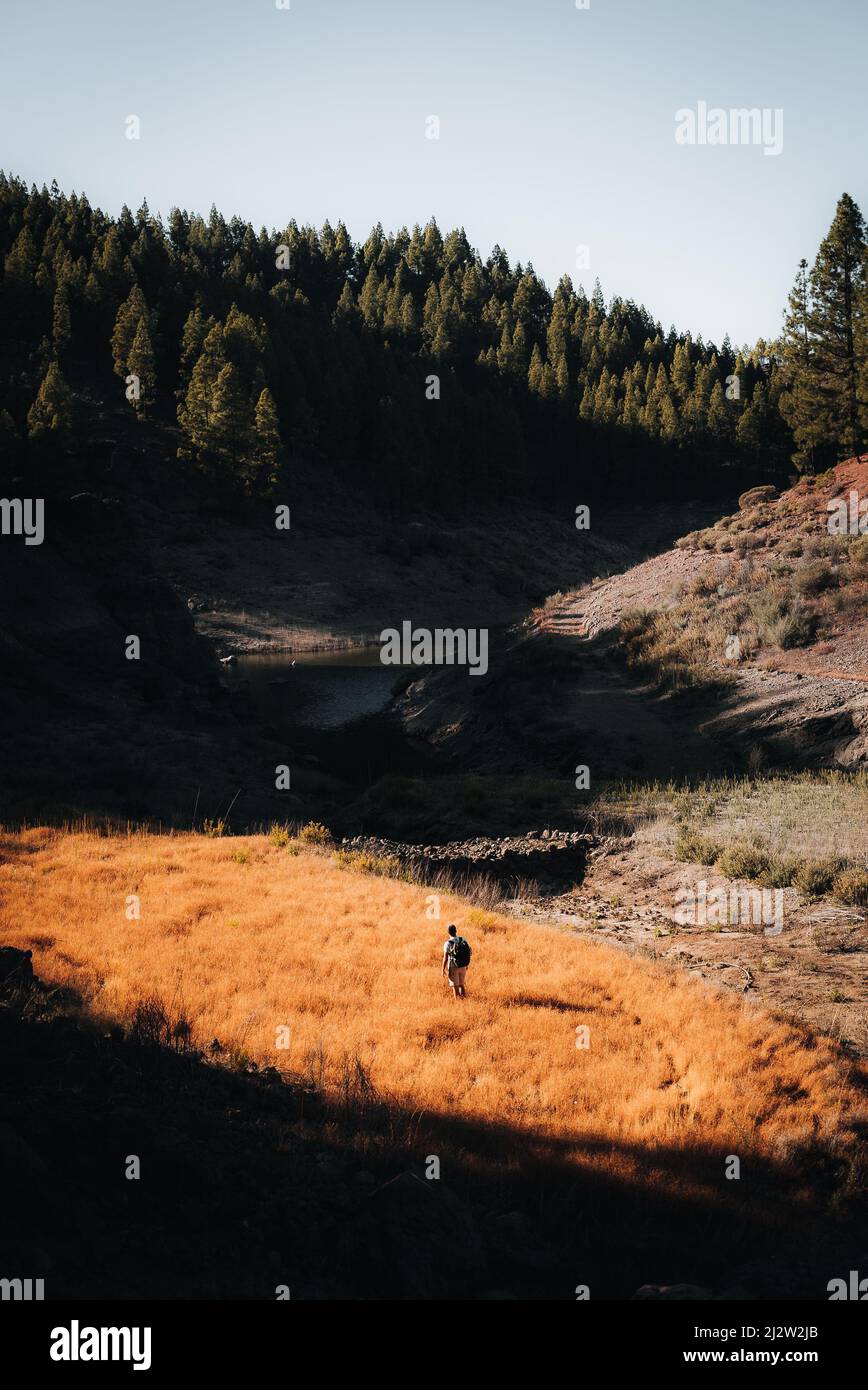 Alone in nature hi-res stock photography and images - Alamy