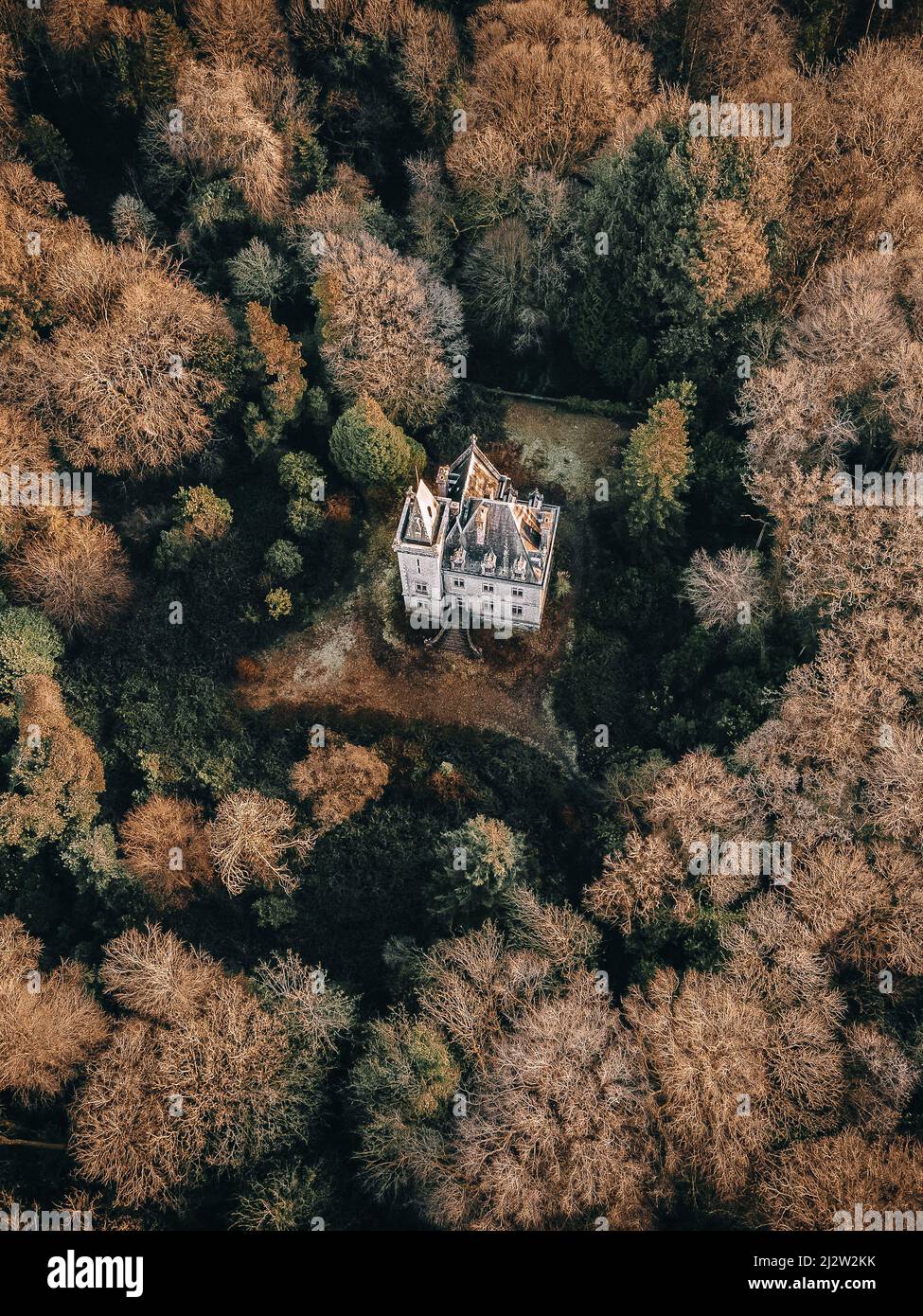 Castle in forest Stock Photo - Alamy