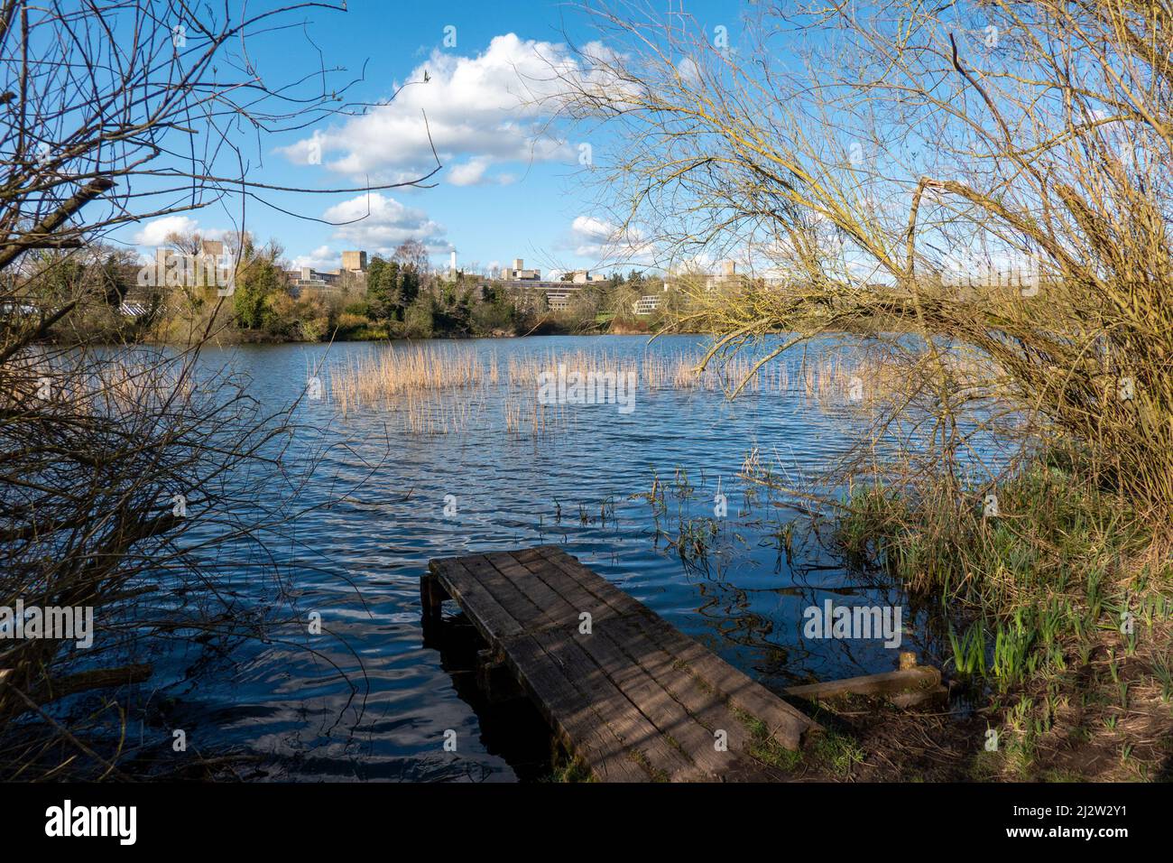 The Broad The University of East Anglia Stock Photo - Alamy