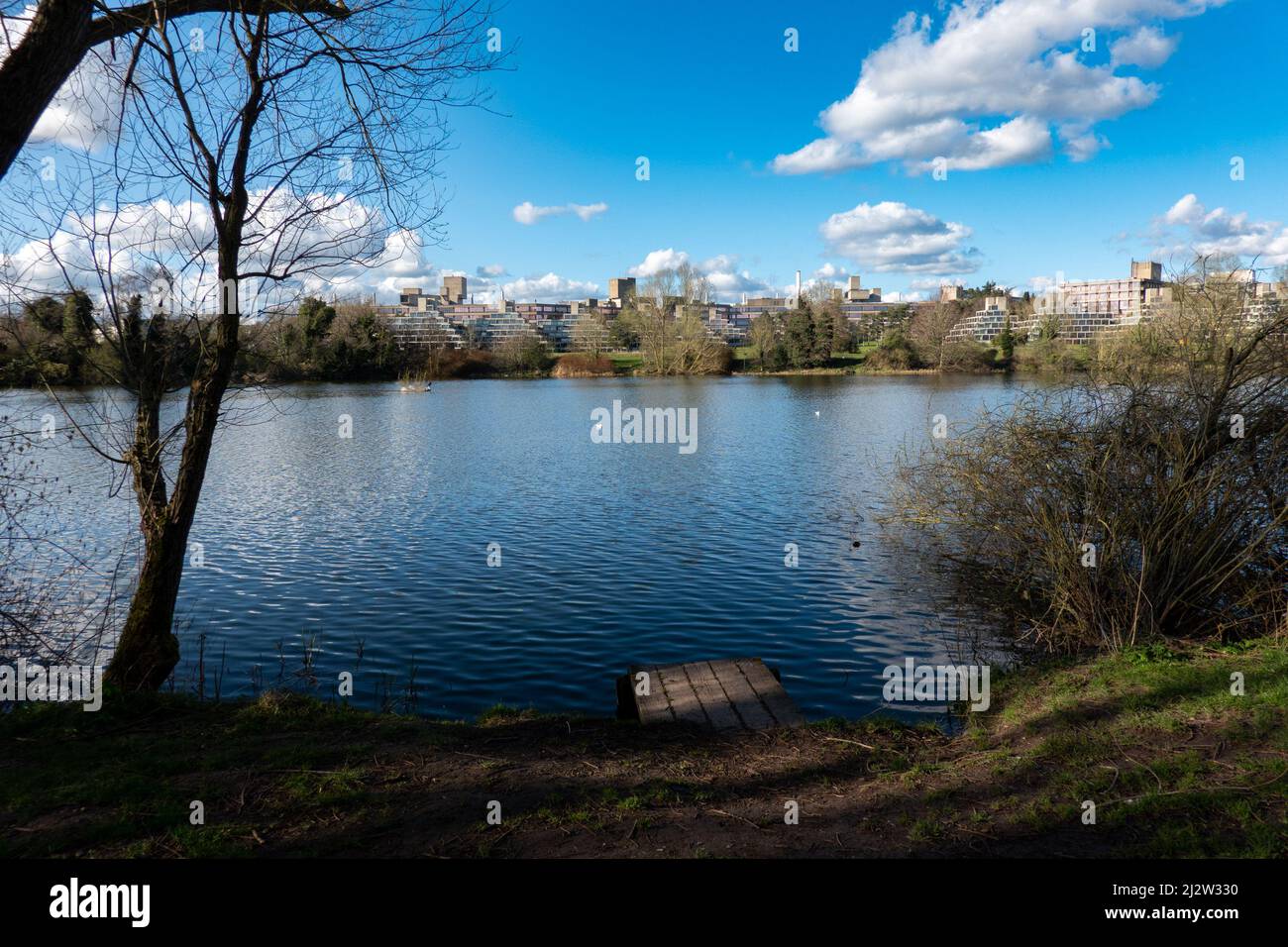 The Broad The University of East Anglia Stock Photo - Alamy