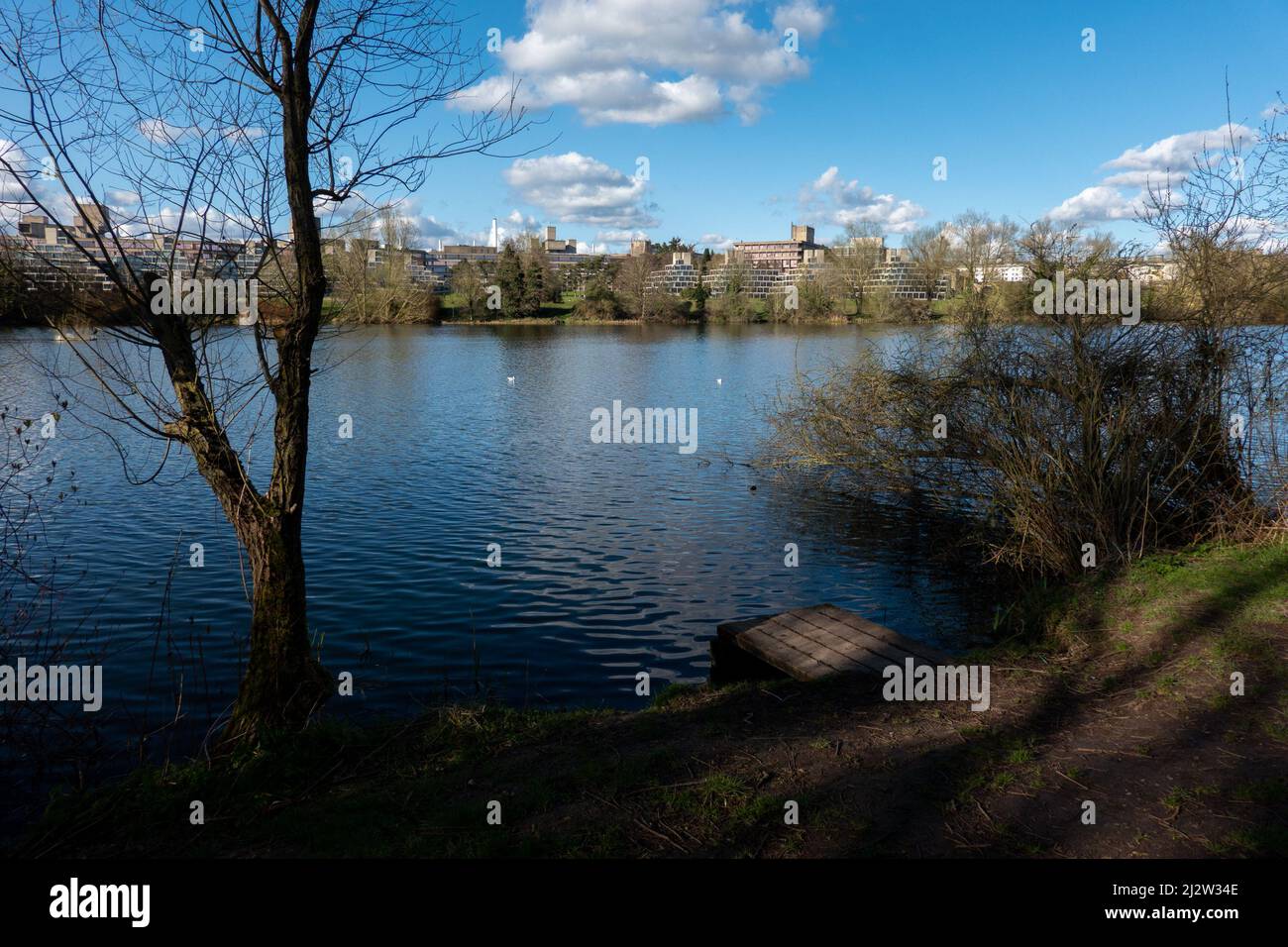 University east anglia lake uea hi-res stock photography and images - Alamy