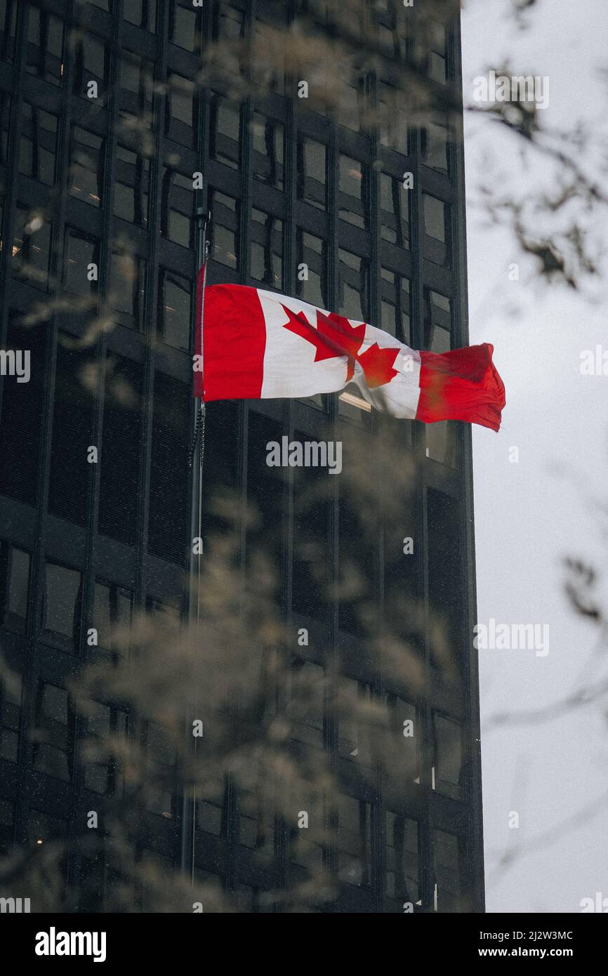 Toronto city flag hi-res stock photography and images - Alamy