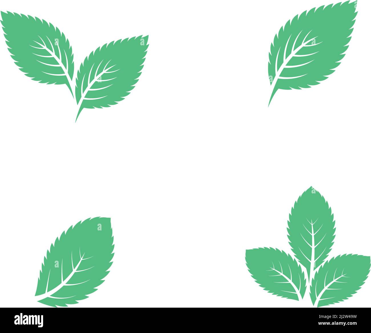 Mint leaf logo illustration vector Stock Vector Image & Art - Alamy