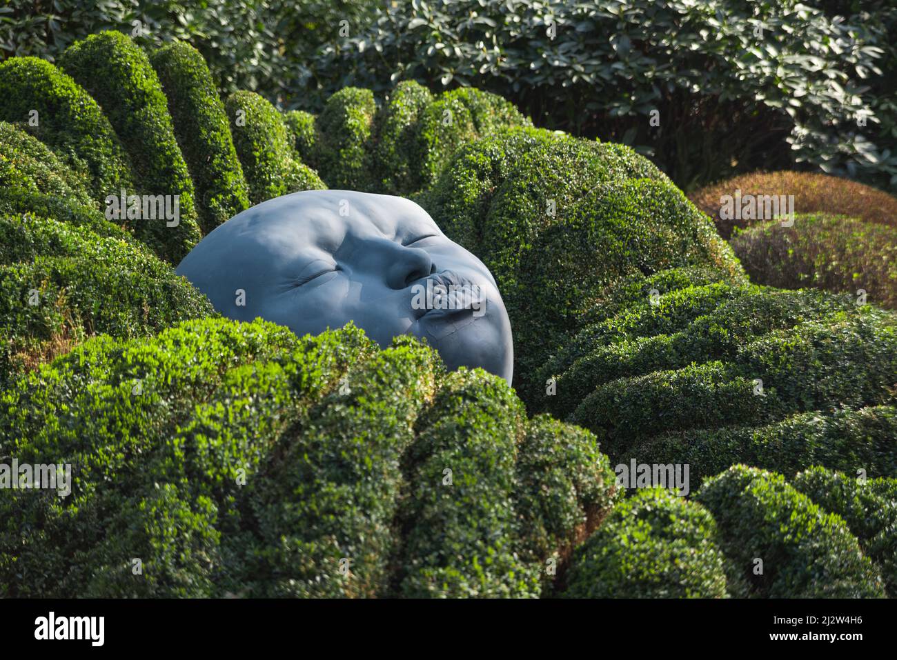 Etretat gardens in normandy hi-res stock photography and images - Alamy