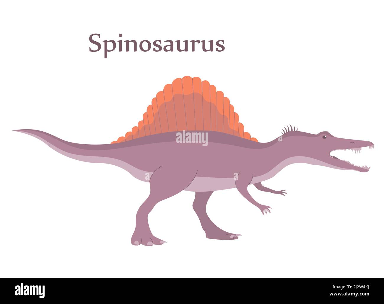 Spinosaurus predatory dinosaur hunter of the Jurassic period. Fin plate ...