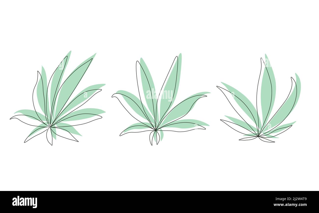 Set of Cannabis leaf sign logo Stock Vector Image & Art - Alamy