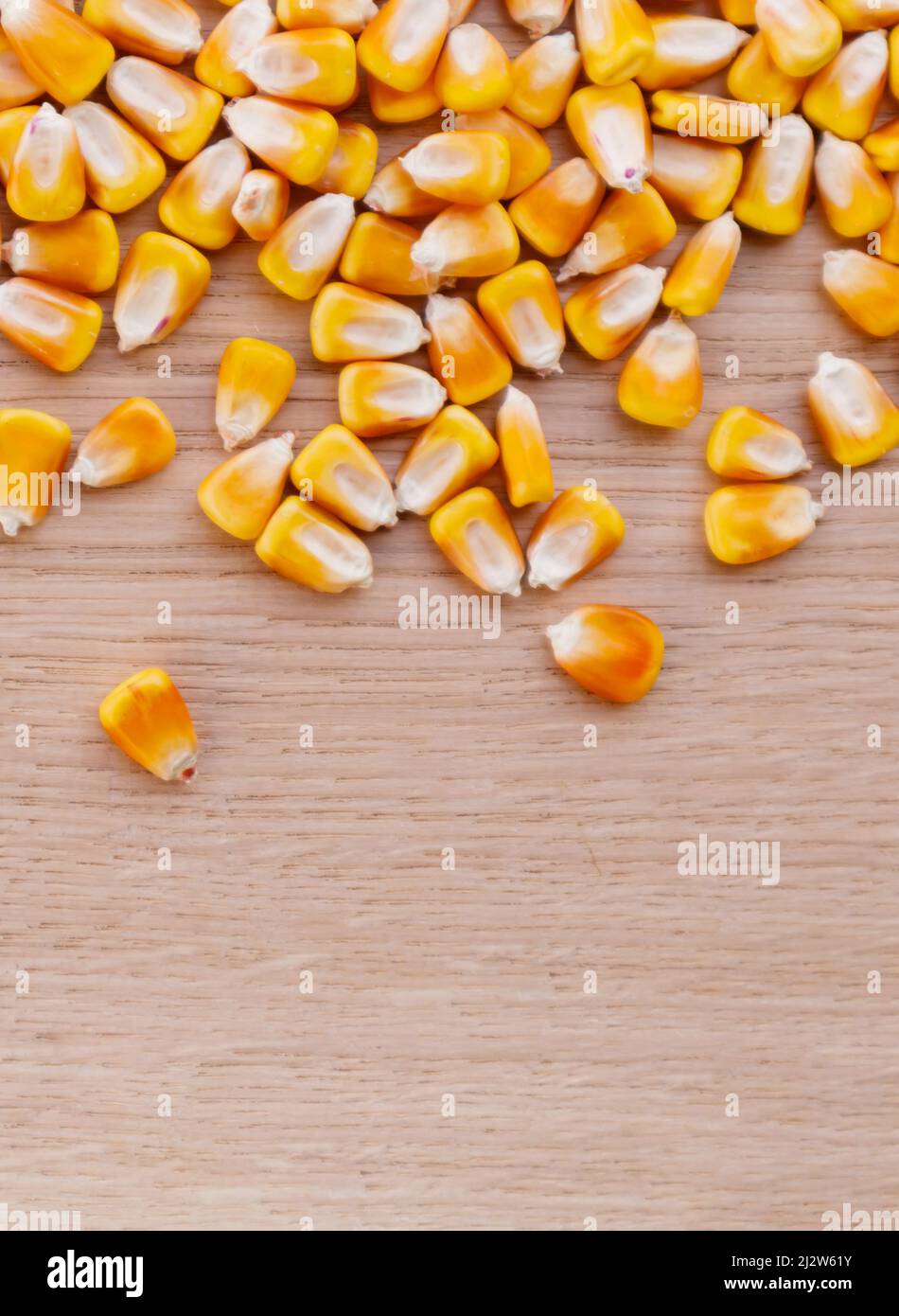 Heap of raw corns seeds, maize or sweetcorn kernels top view on wooden ...