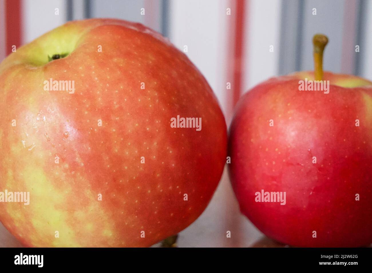 Ligol variety hi-res stock photography and images - Alamy