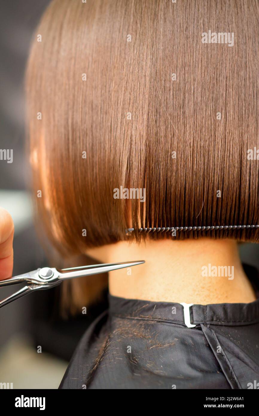 Bob Haircuts Back View