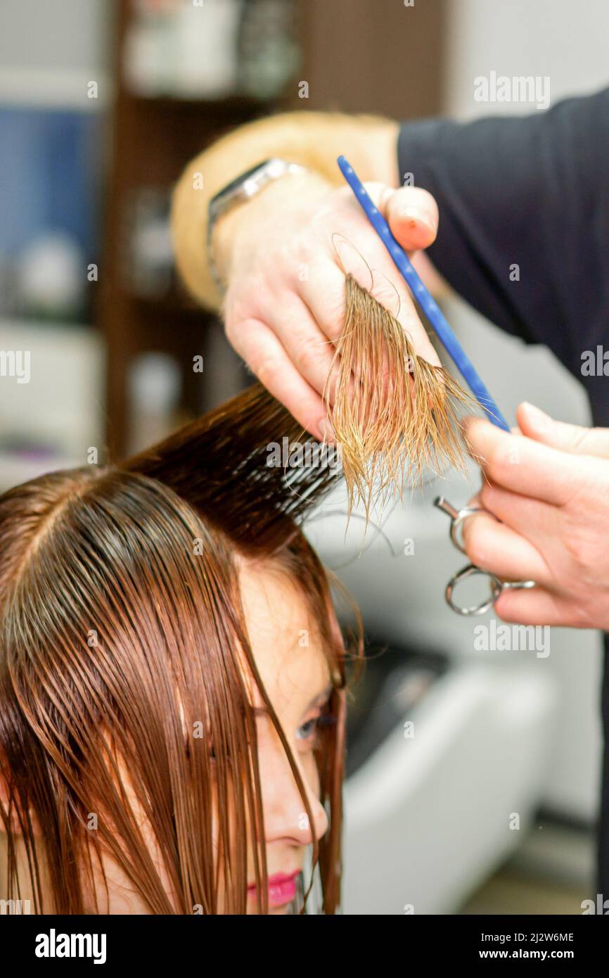 Hands of hairdresser hold hair strand between his fingers making ...