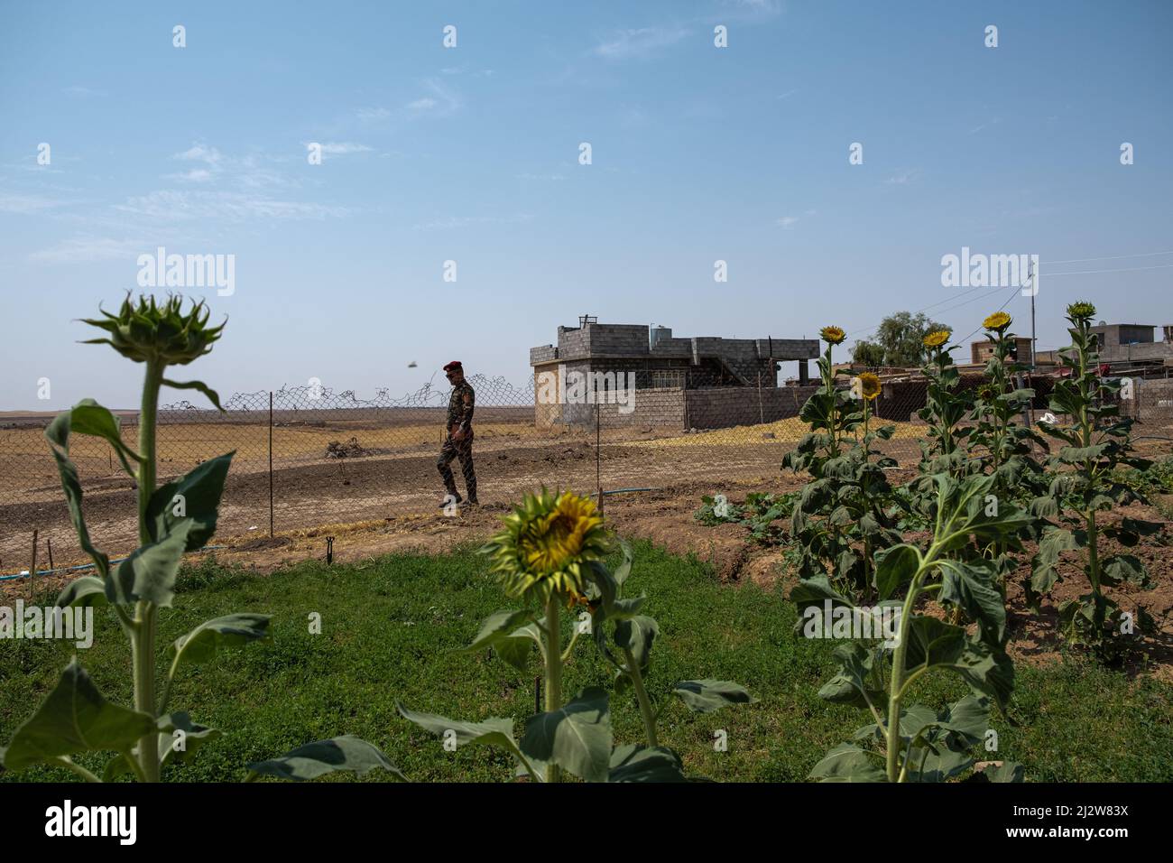 Kurdish people back to normal life after ISIS war defeat by Ishmaerga ...