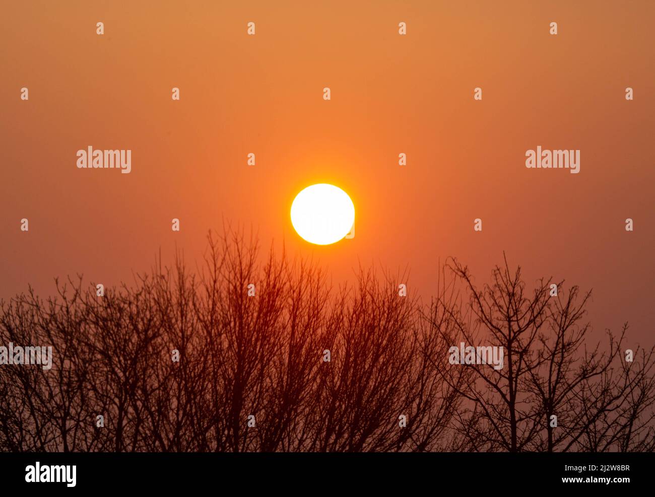 Sun Rise Over The Trees Stock Photo - Alamy