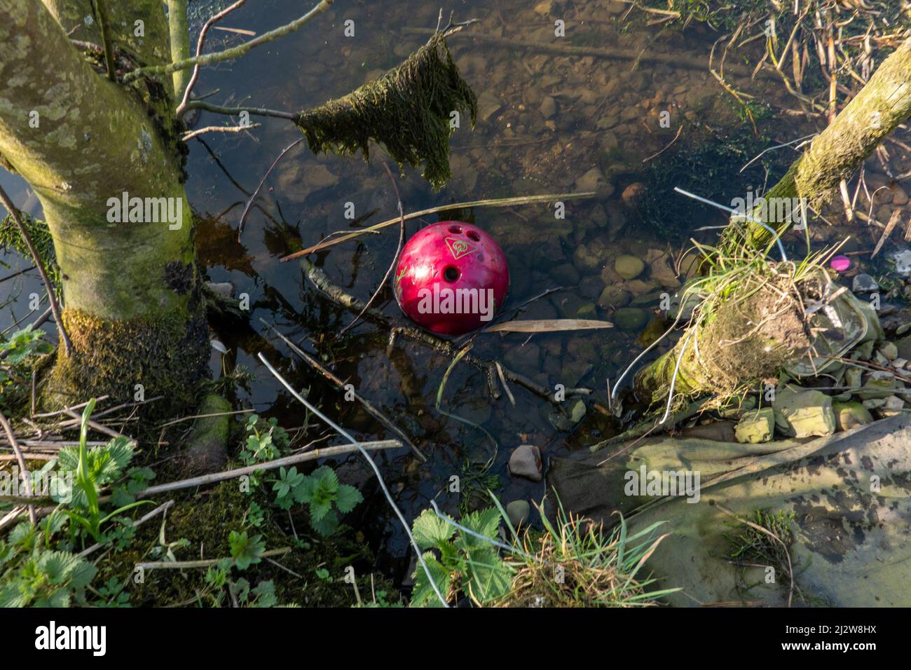 Discarded bowling ball in water River Yare Woods End Norfolk Stock ...