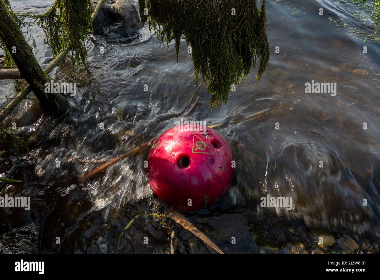 Discarded bowling ball in water River Yare Woods End Norfolk Stock ...