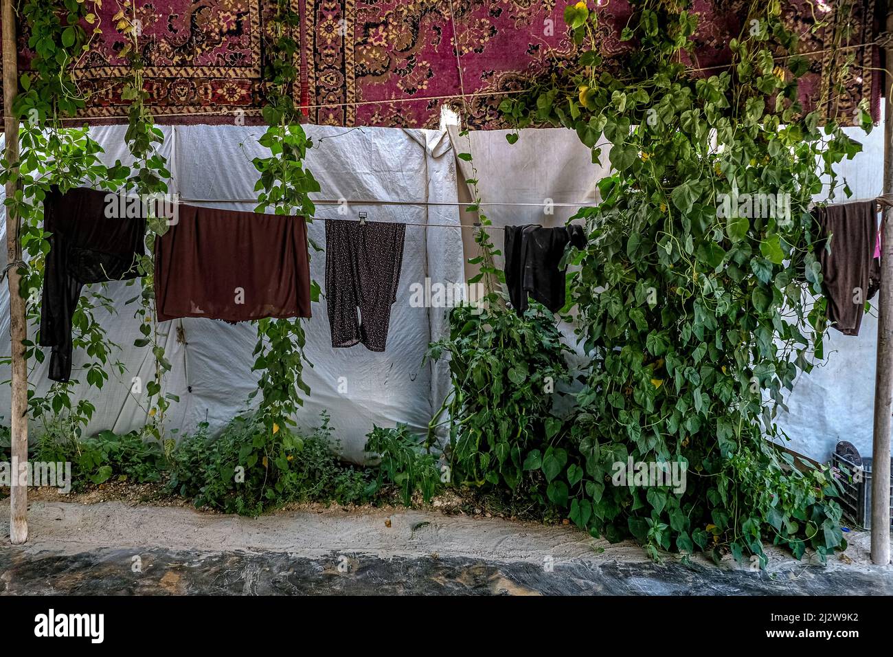 Kurdish people back to normal life after ISIS war defeat by Ishmaerga ...