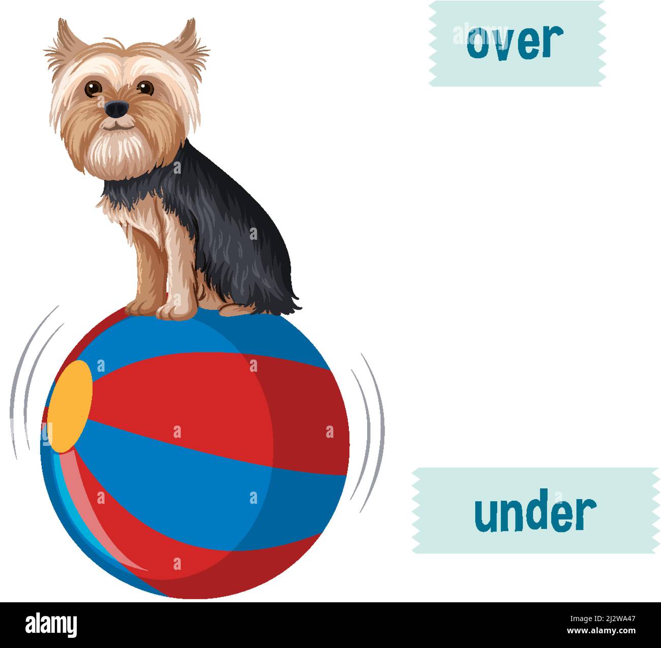 Preposition wordcard with dog on the ball illustration Stock Vector ...