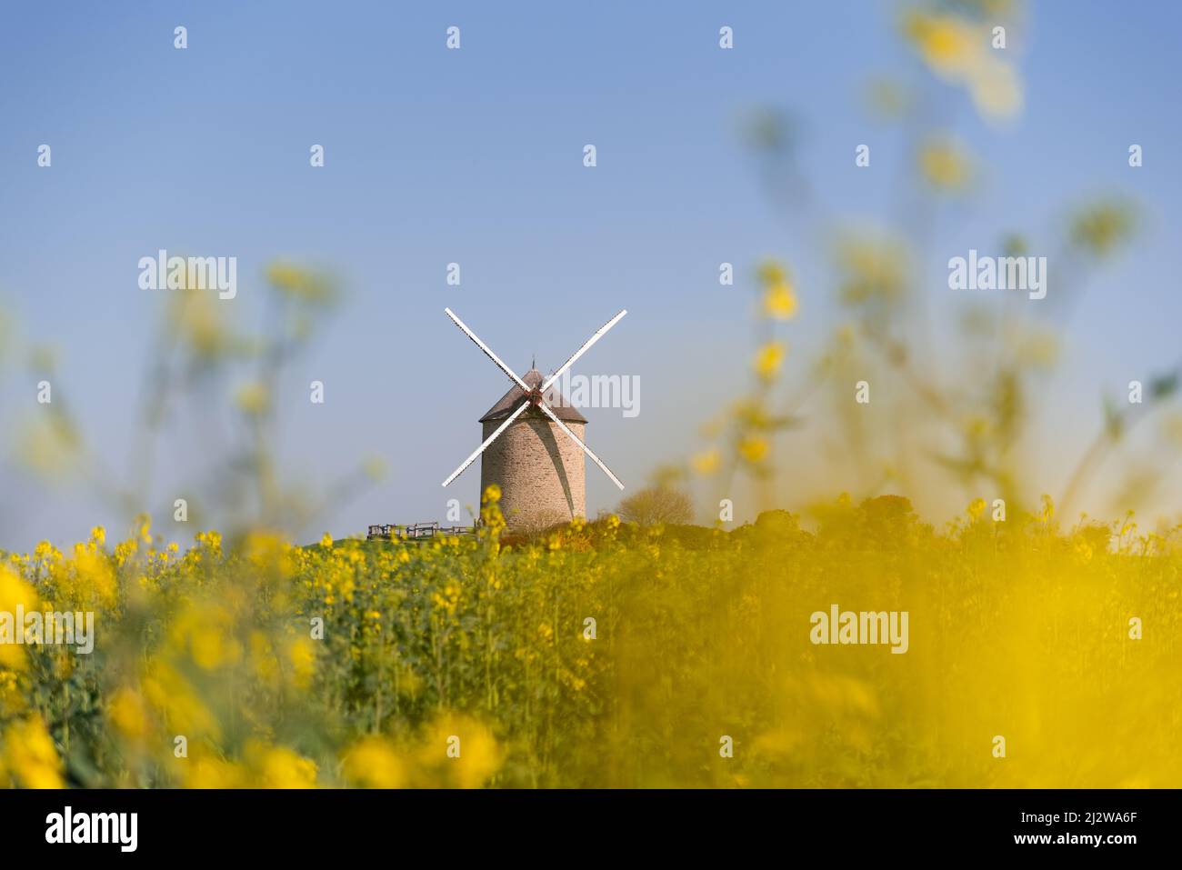 Windmill near mont saint michel in Normandy Stock Photo - Alamy
