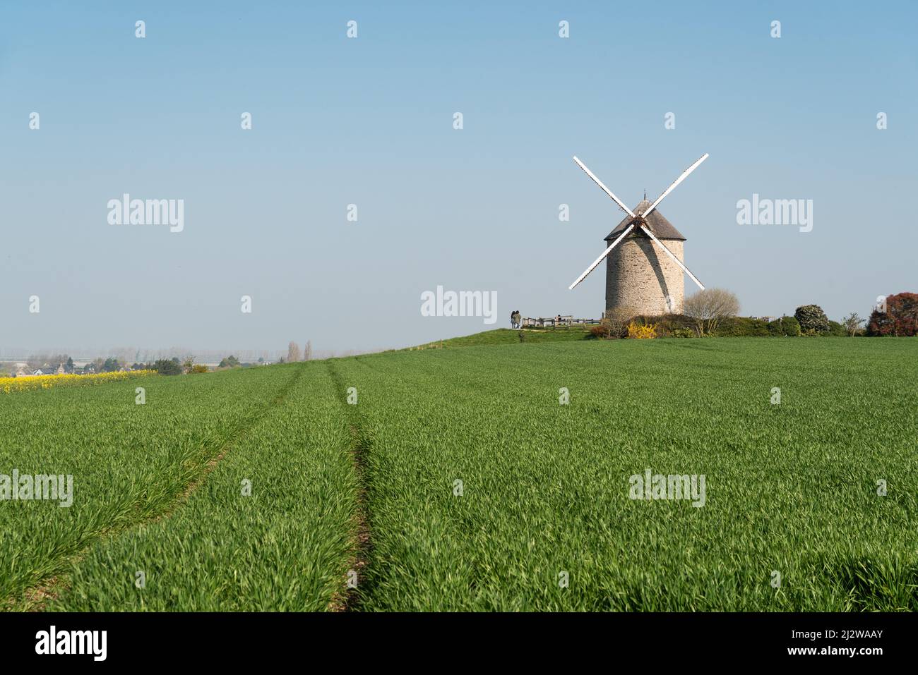 Windmill near mont saint michel in Normandy Stock Photo - Alamy