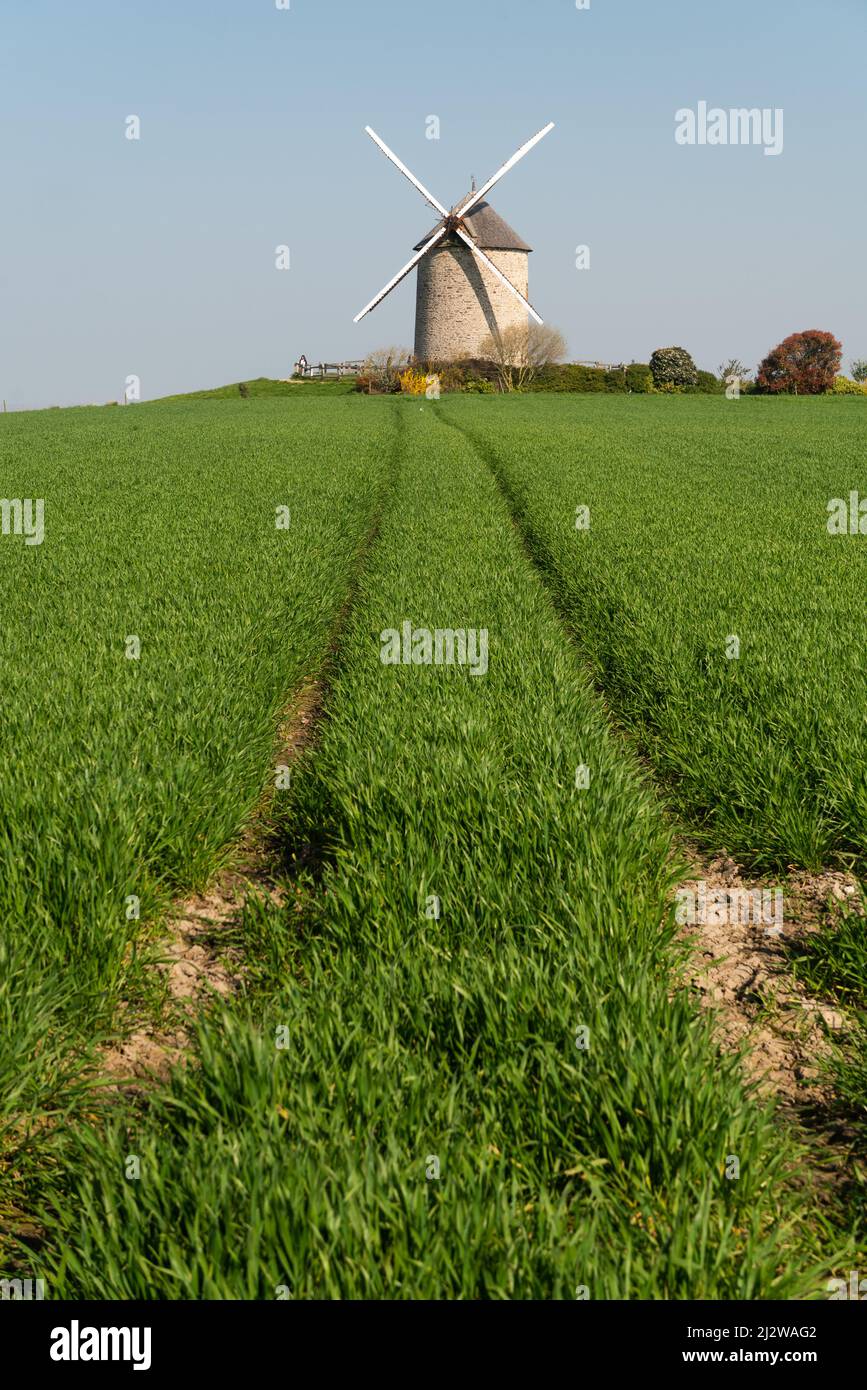 Windmill near mont saint michel in Normandy Stock Photo - Alamy