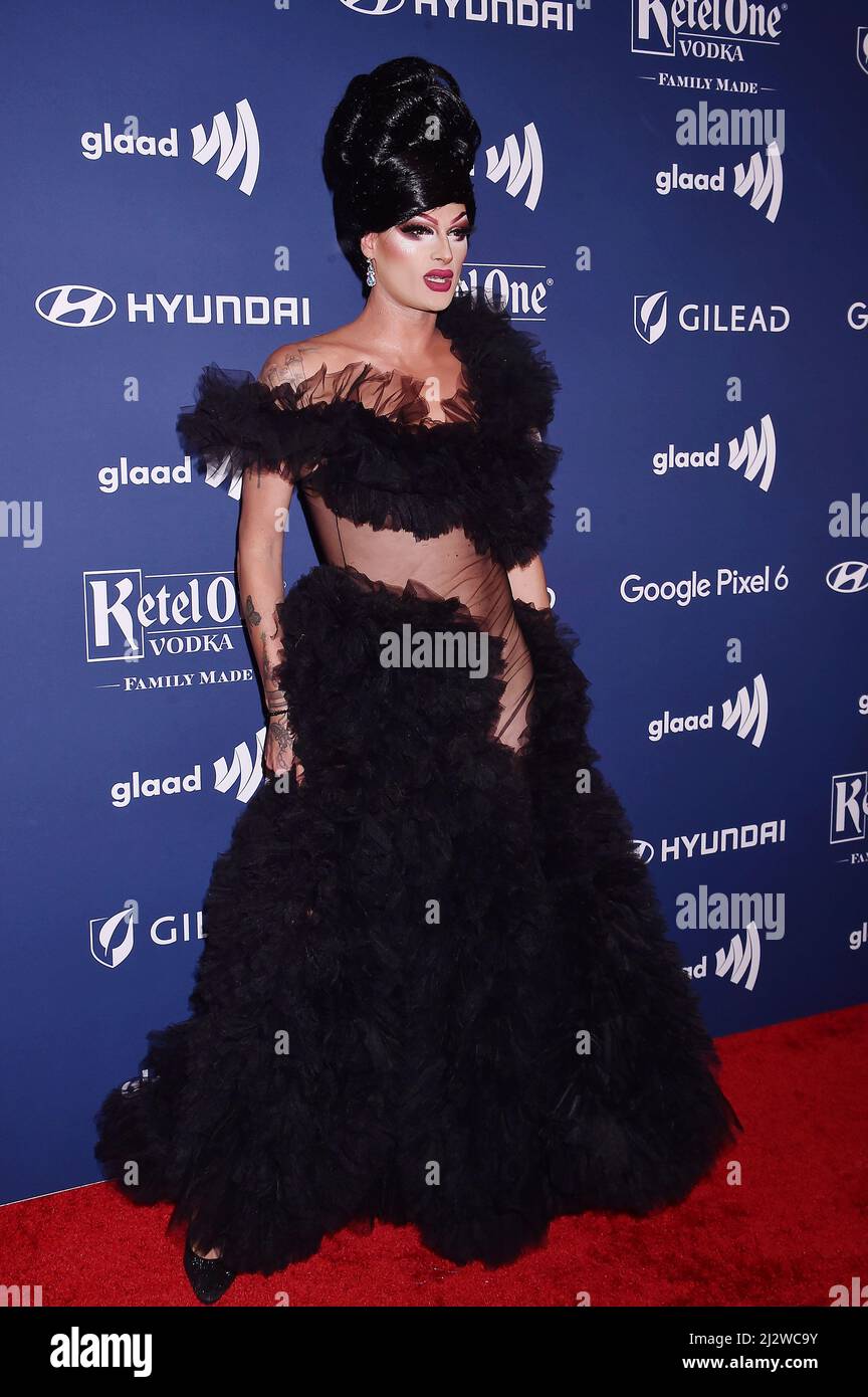 BEVERLY HILLS, CA - APRIL 02: Rhea Litre attends the 33rd Annual GLAAD ...