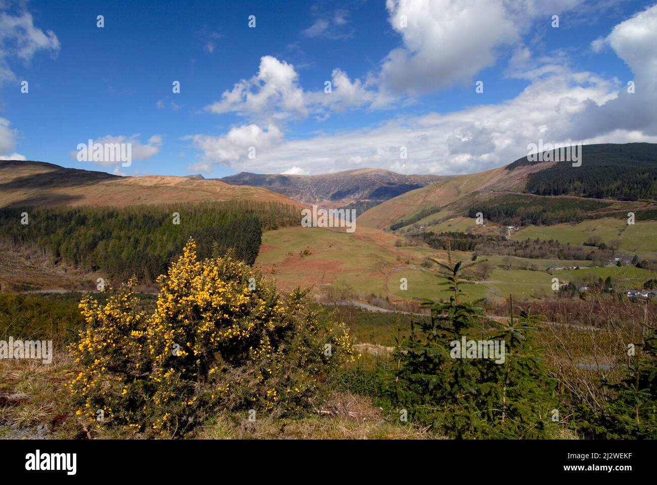View from South of Cader/Cadair Idris Stock Photo - Alamy