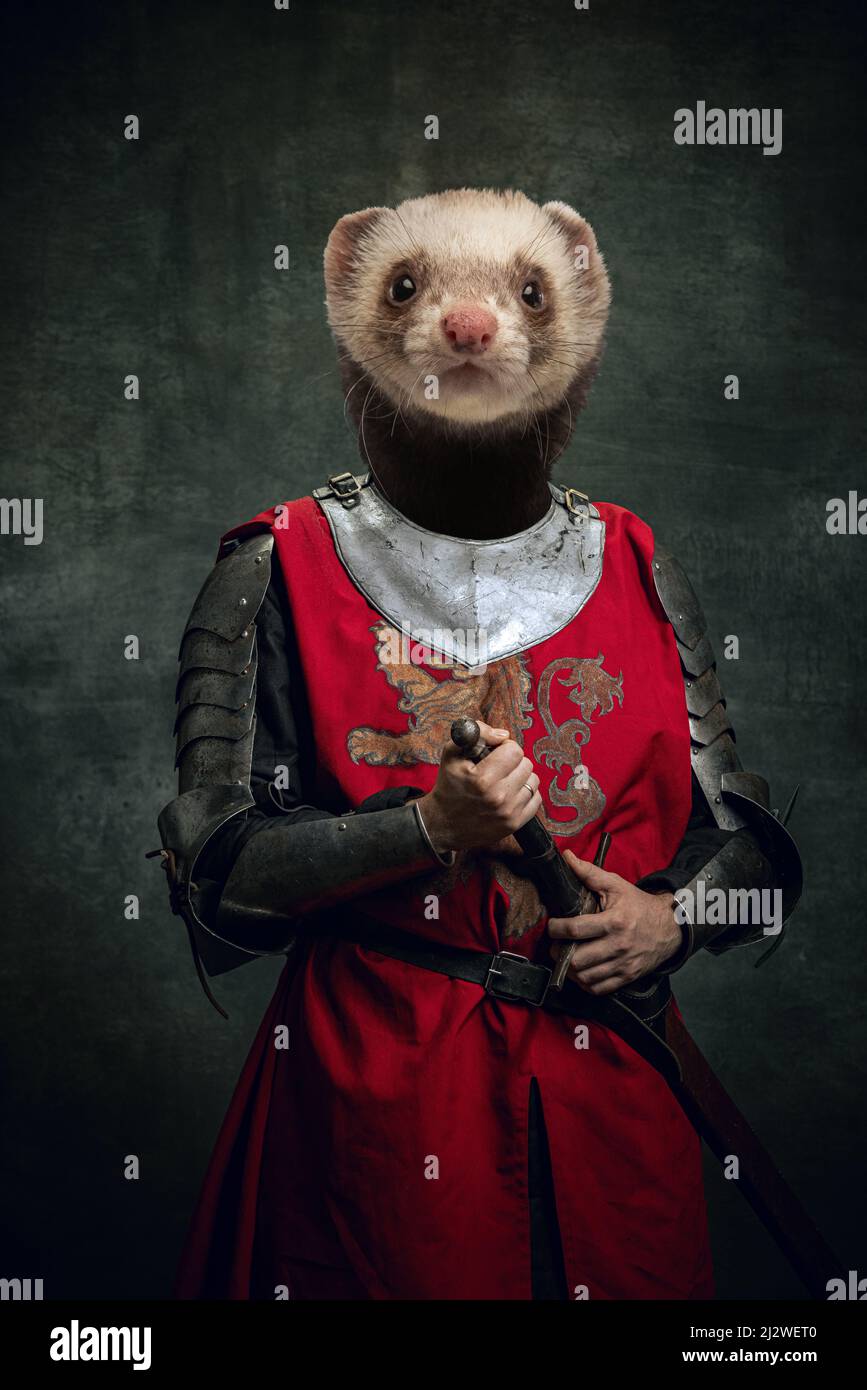 Surreal artwork with medieval knight, warrior headed of ferret's head ...