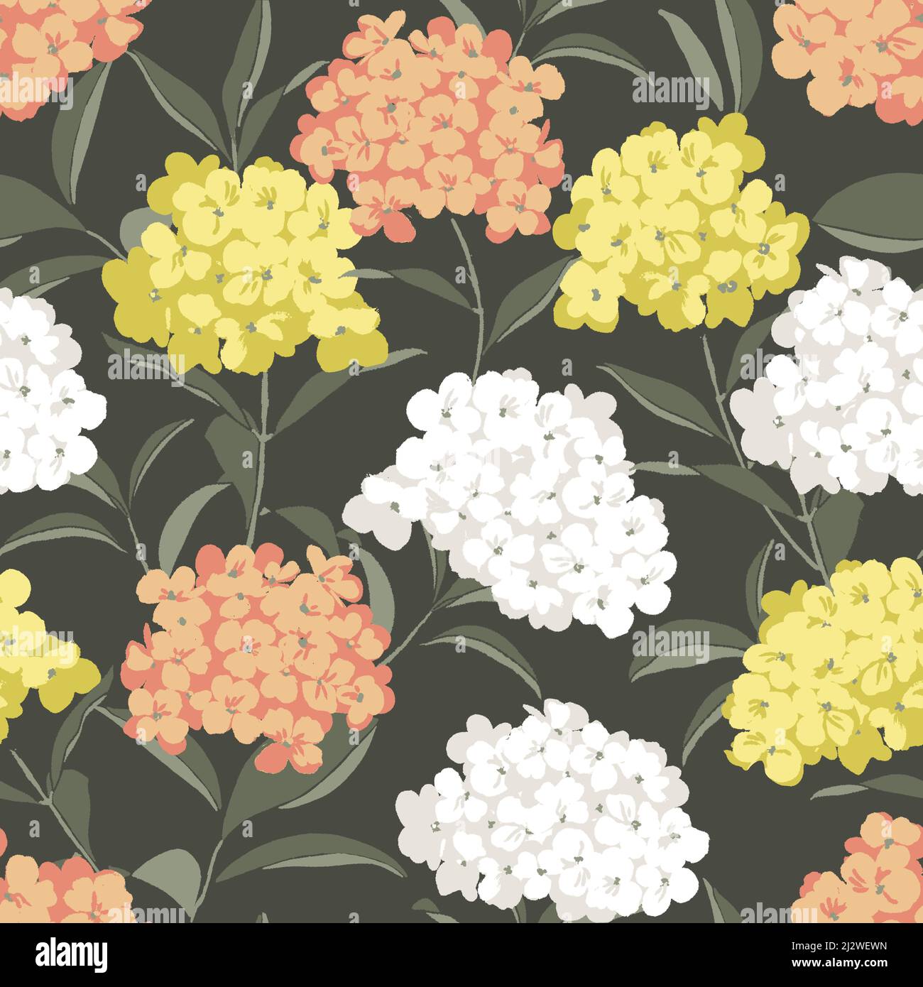 Beautiful Hydrangea Floral pattern seamless Stock Photo - Alamy