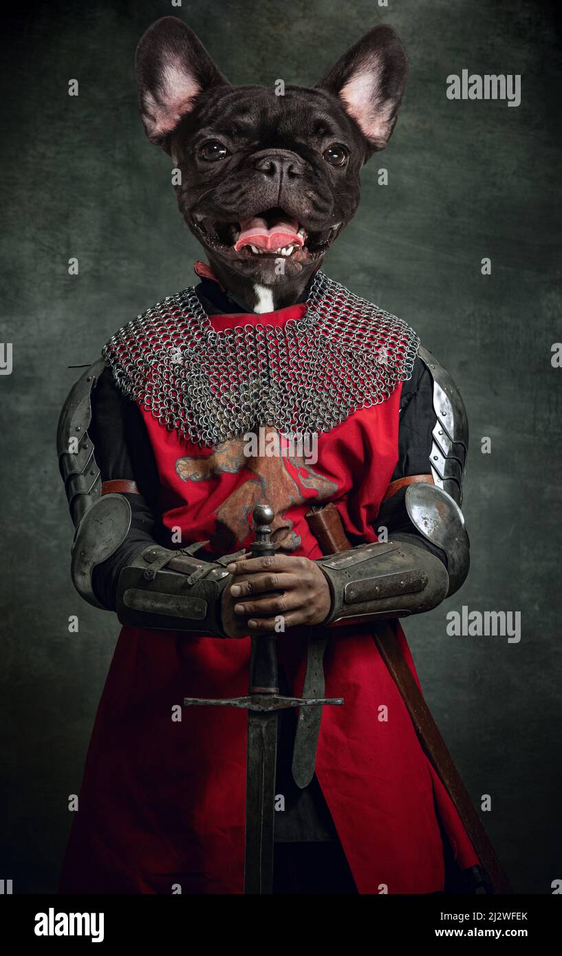 Surreal artwork with medieval knight, warrior headed of dog's head ...