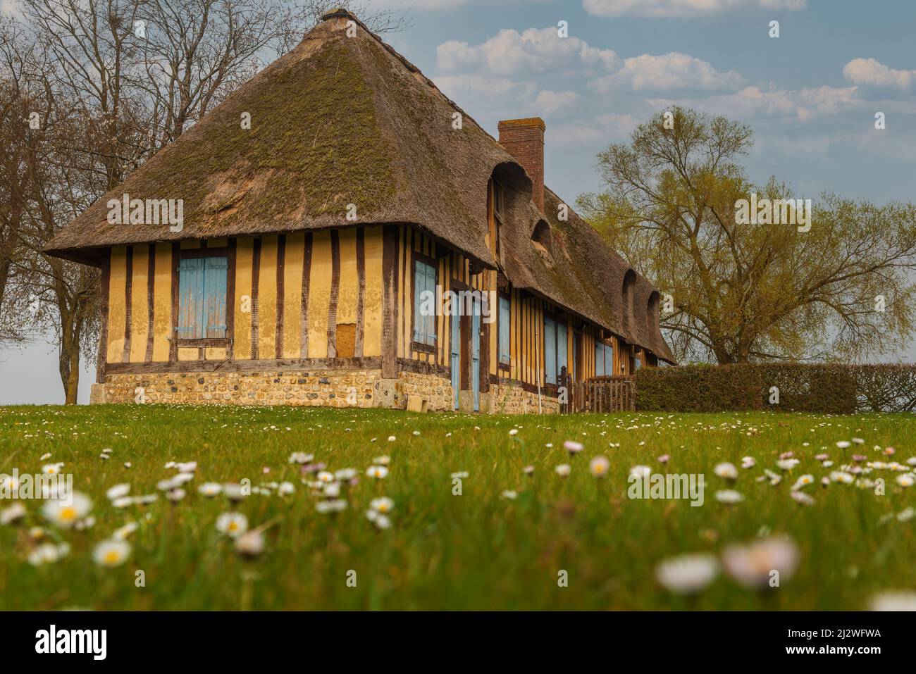 Typical norman house in France Stock Photo - Alamy