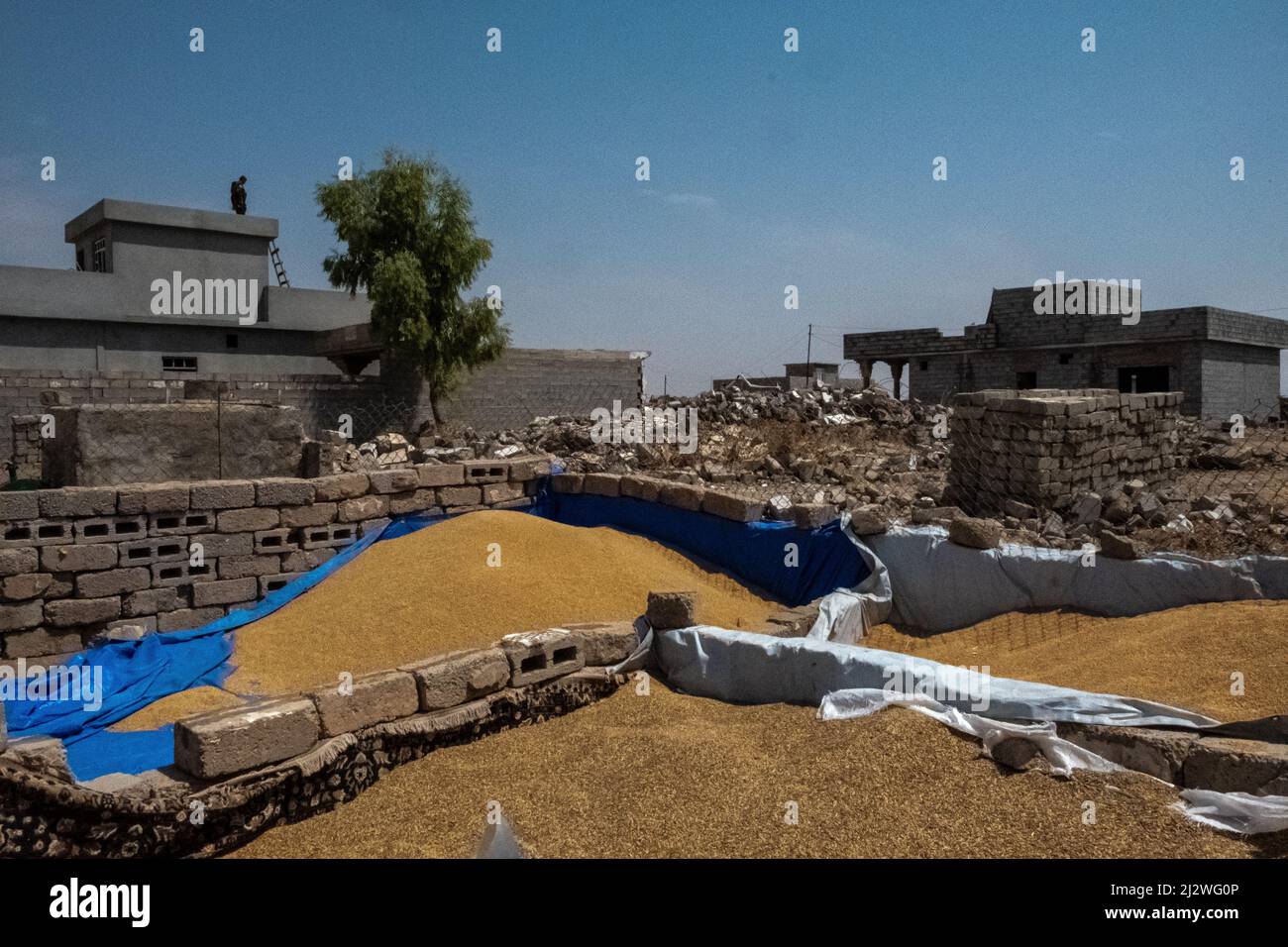 Kurdish people back to normal life after ISIS war defeat by Ishmaerga ...