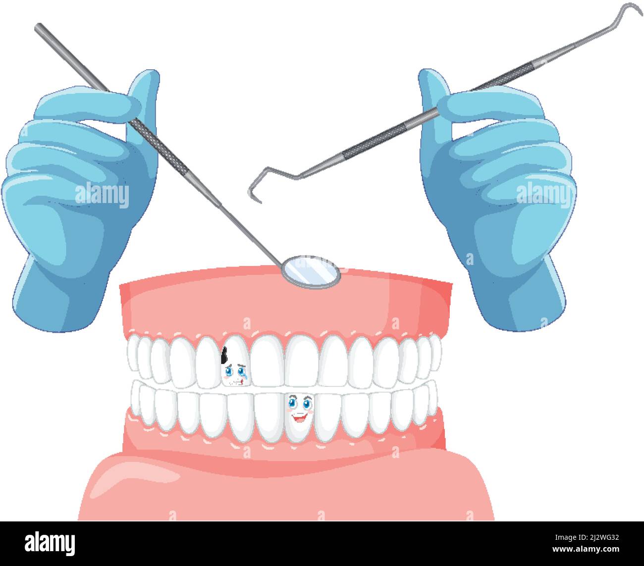 Dentist hand with human teeth model illustration Stock Vector Image ...