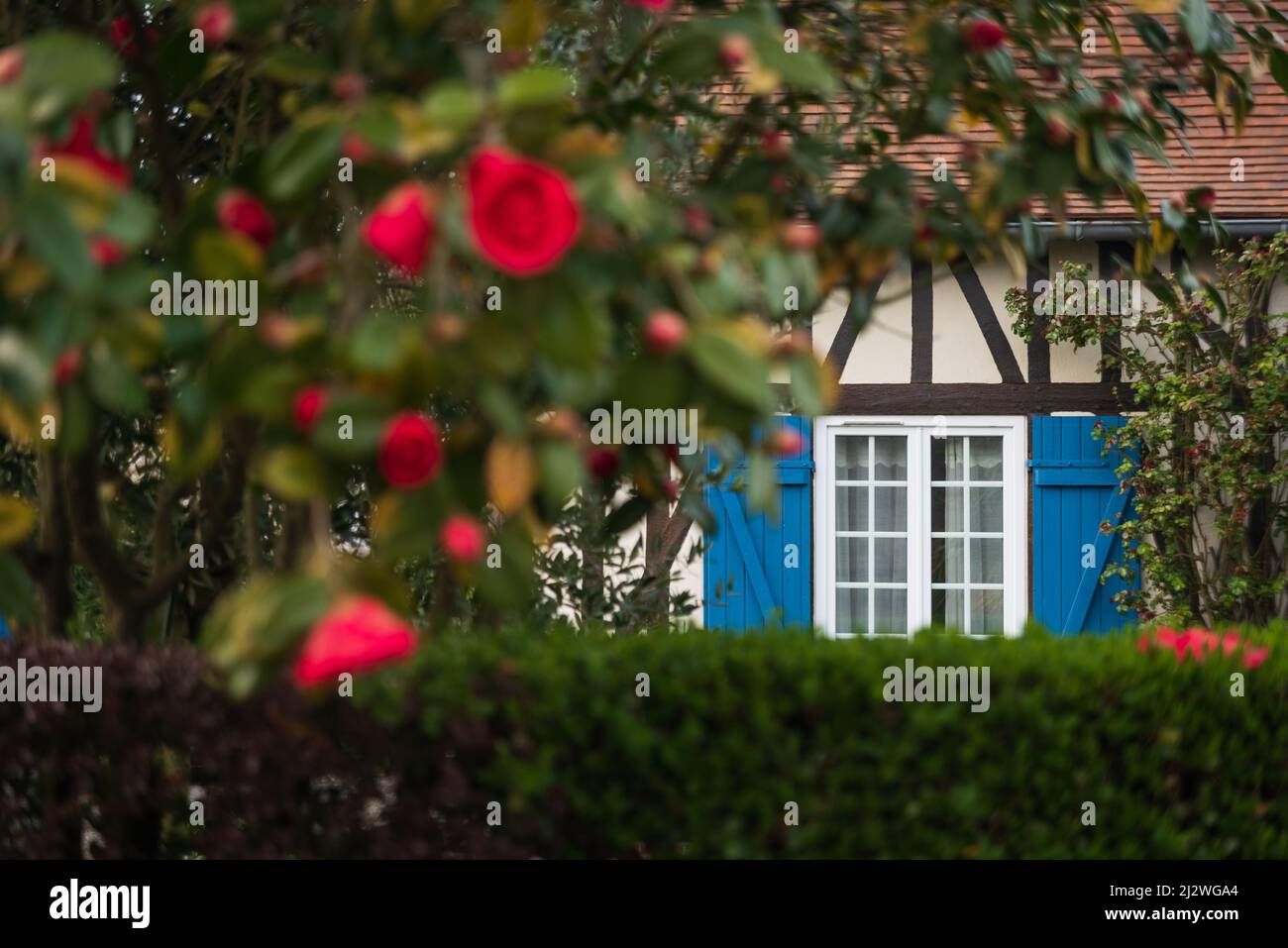 Typical norman house in France Stock Photo - Alamy