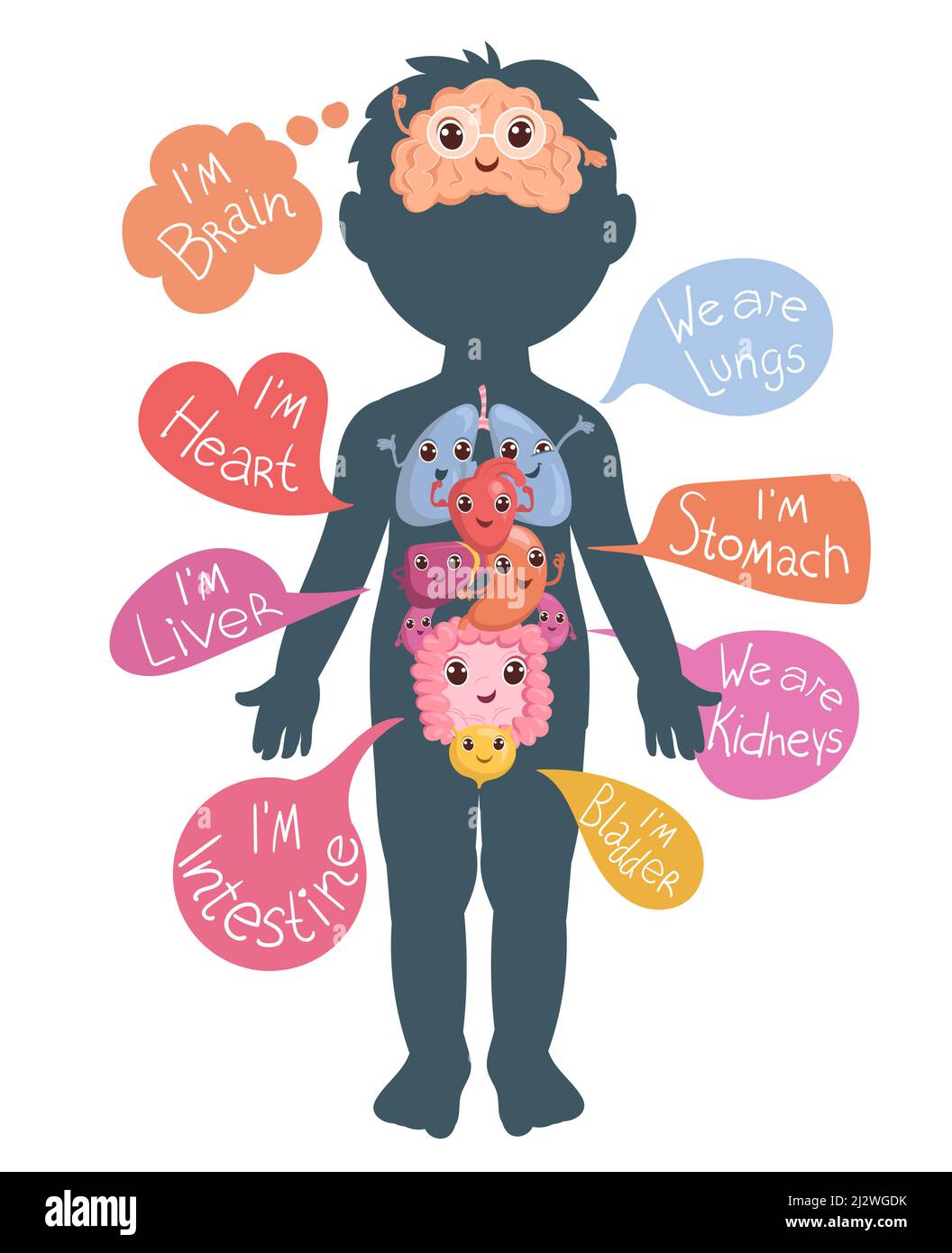 Internal organs in childish body. Human anatomy. Educational poster ...