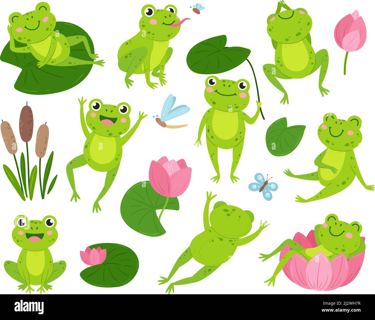 Cute green frogs. Nature and frogs, cartoon toad in pond. Funny animal ...