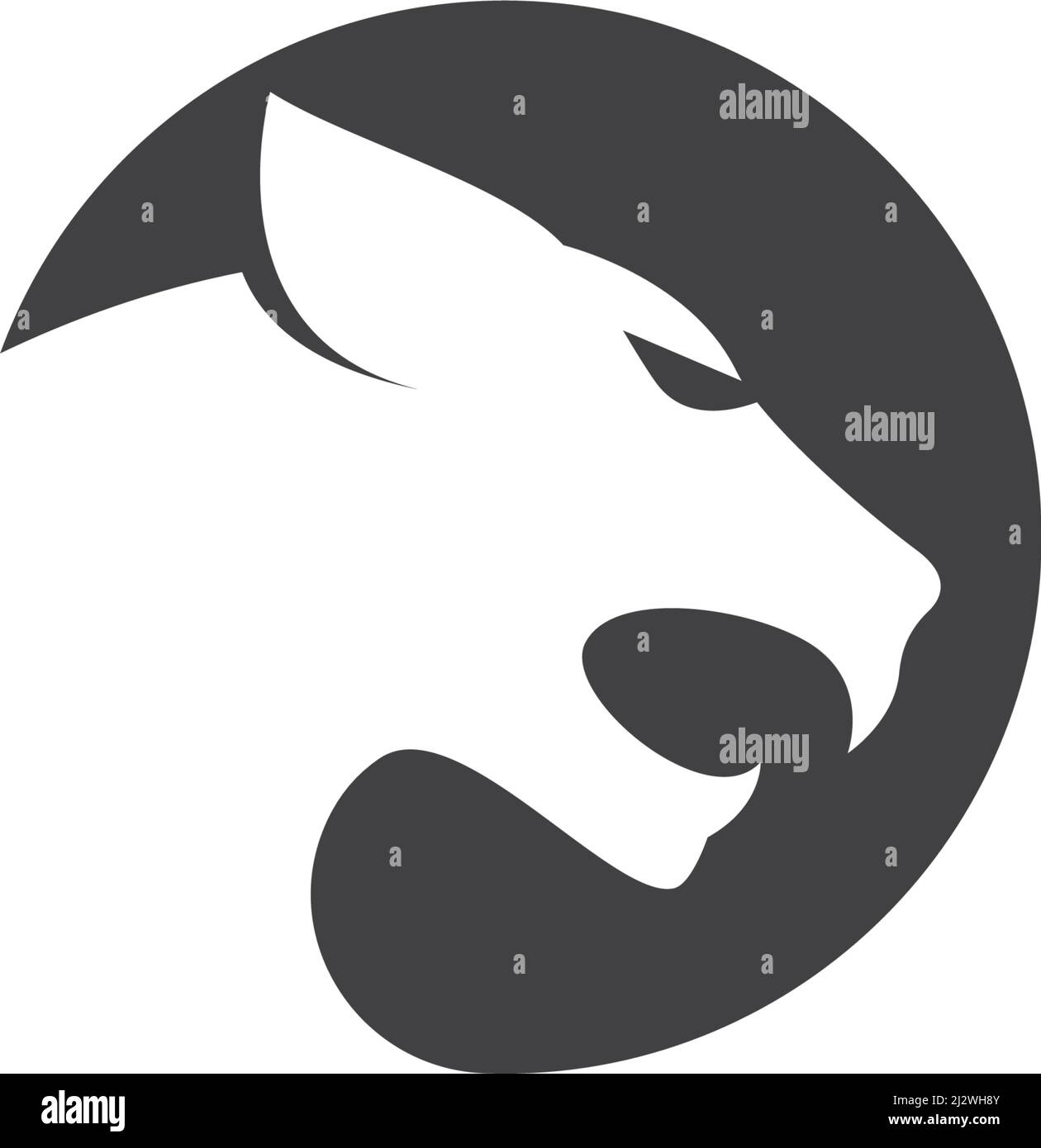 Puma,panther,tiger or leopard Logo design vector illustration template ...