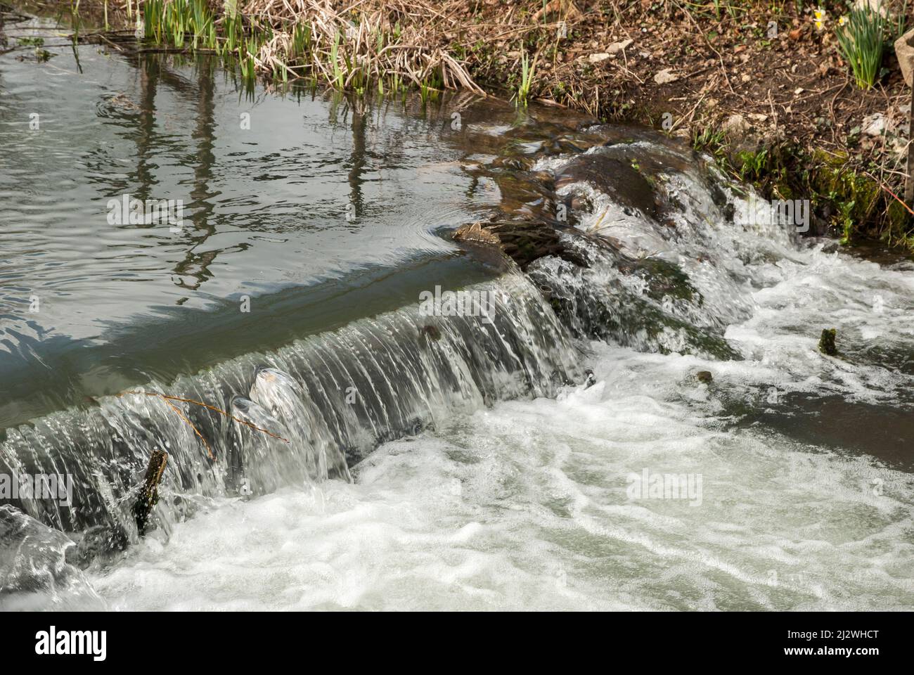 Small riverbed hi-res stock photography and images - Alamy