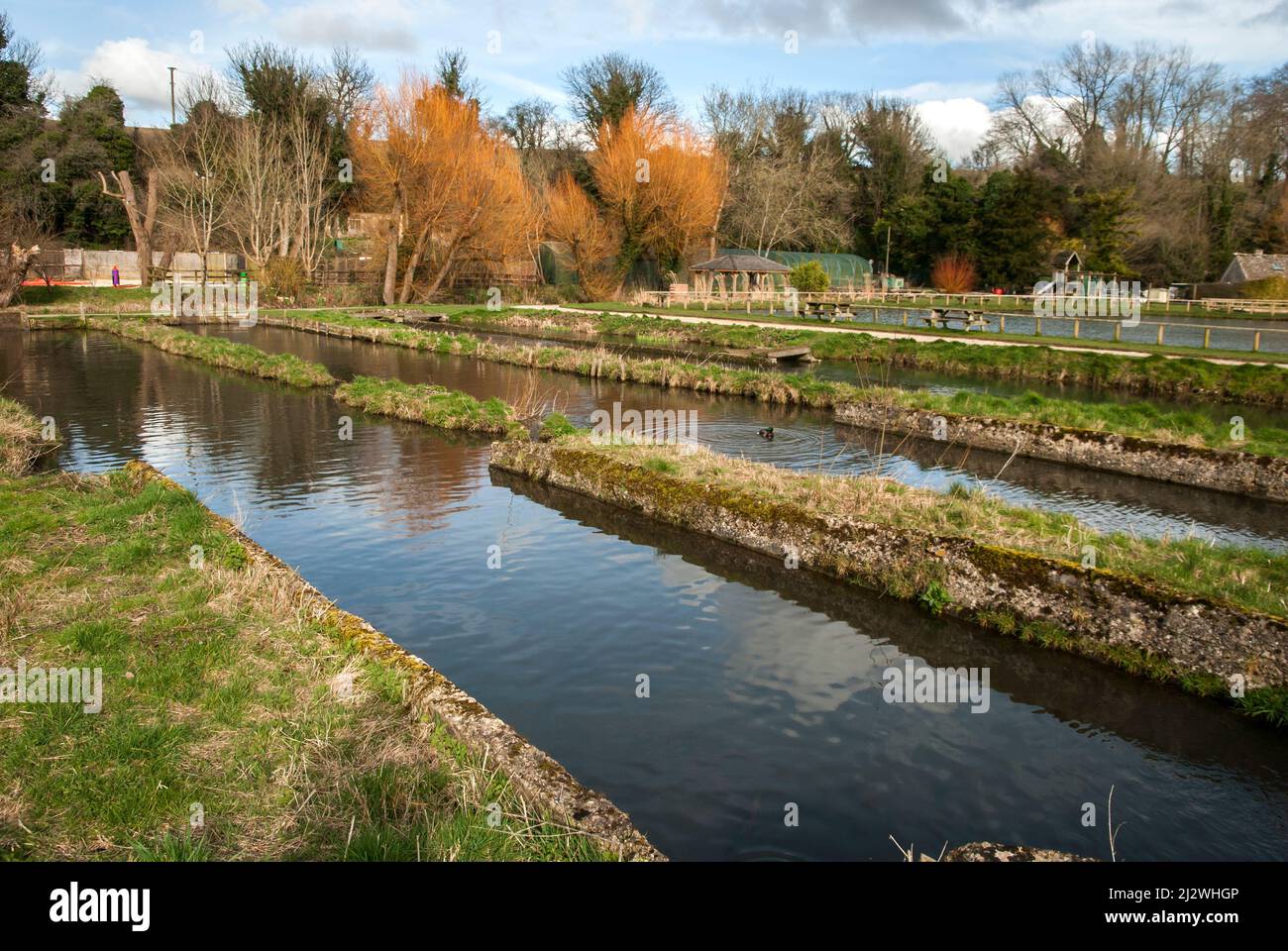 Fish farm facilities view in early spring countryside Stock Photo - Alamy