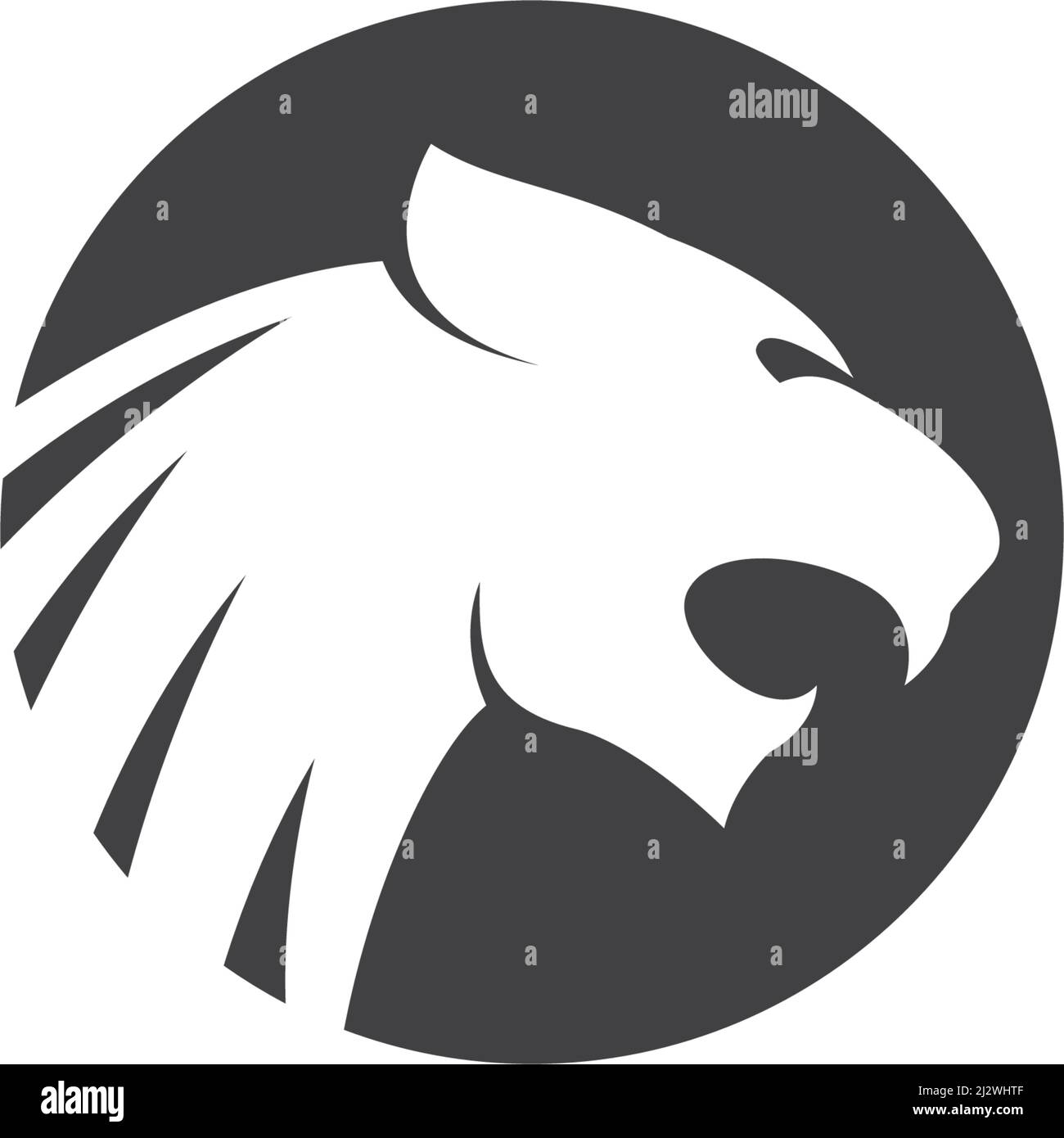 Puma,panther,tiger or leopard Logo design vector illustration template ...