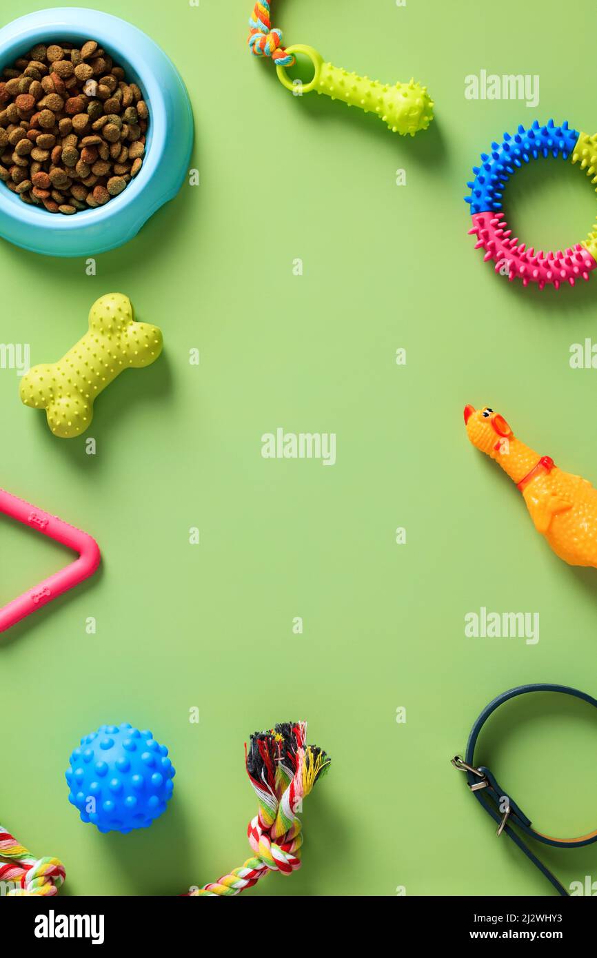 Pet shop vertical banner design. Frame of pet accessories, toys, bowl ...