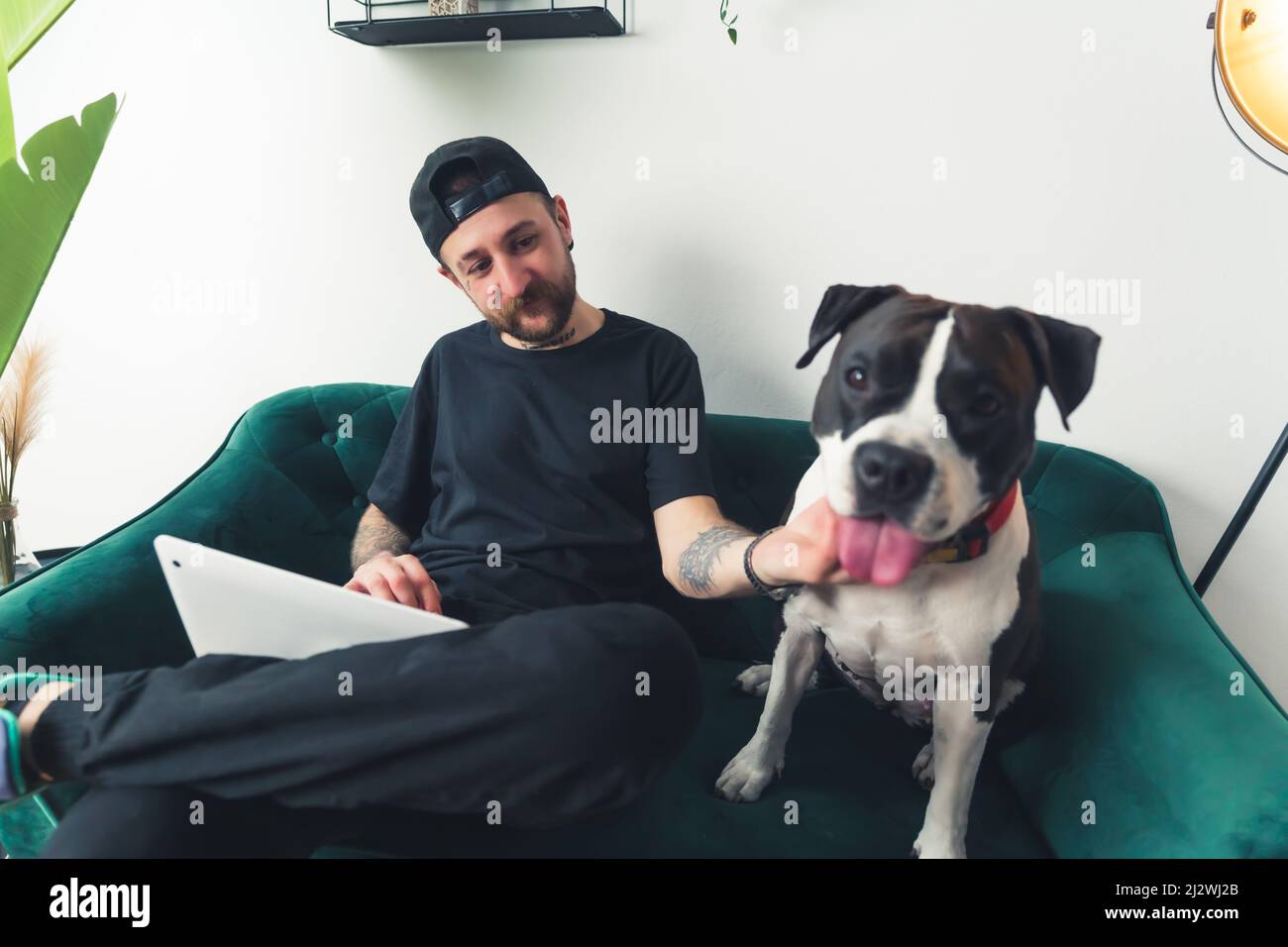 Proud caucasian dog owner guy pets his animal best friend while ...