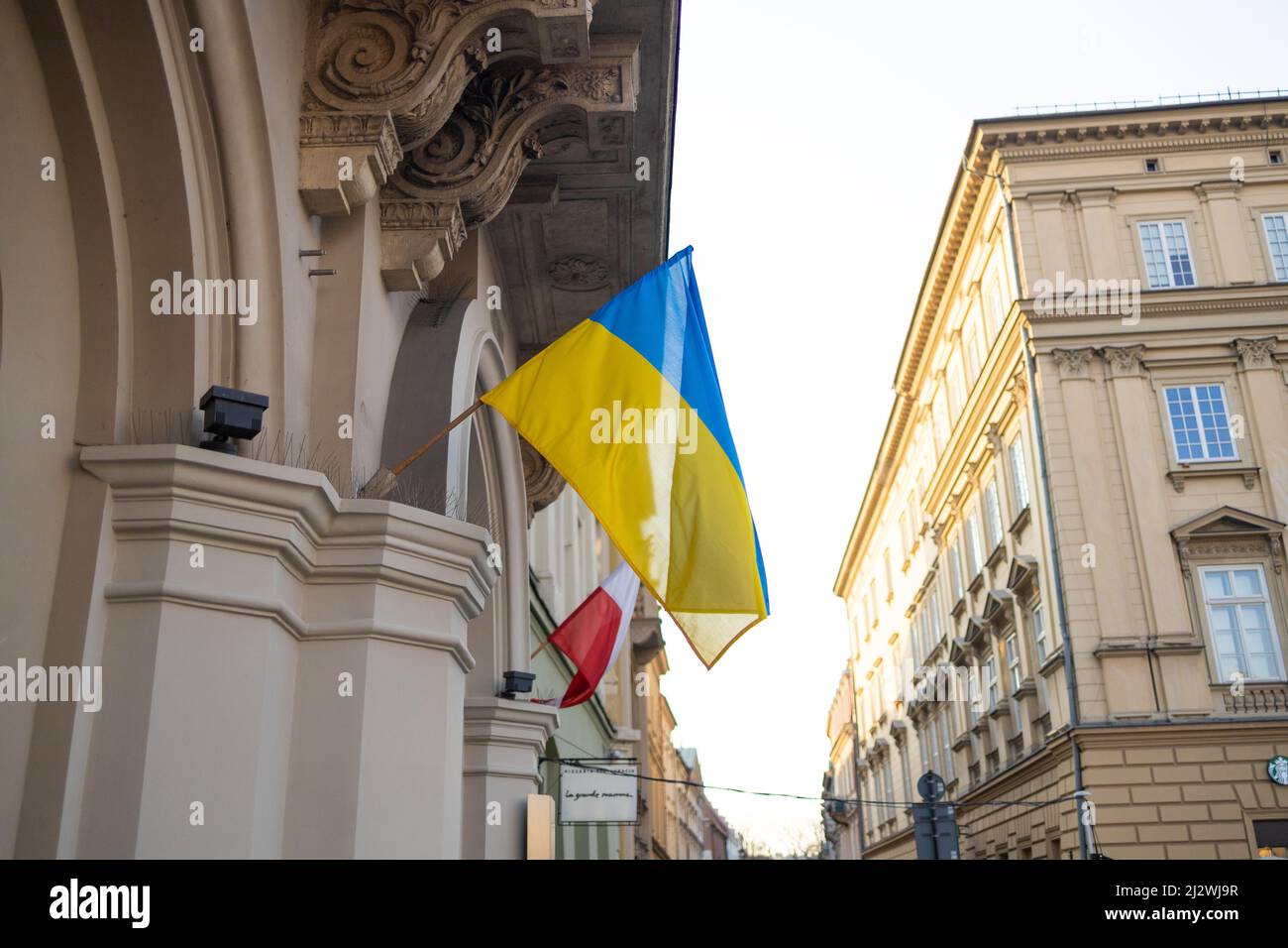 Ukrainian flag in city building. War in Ukraine Stock Photo - Alamy
